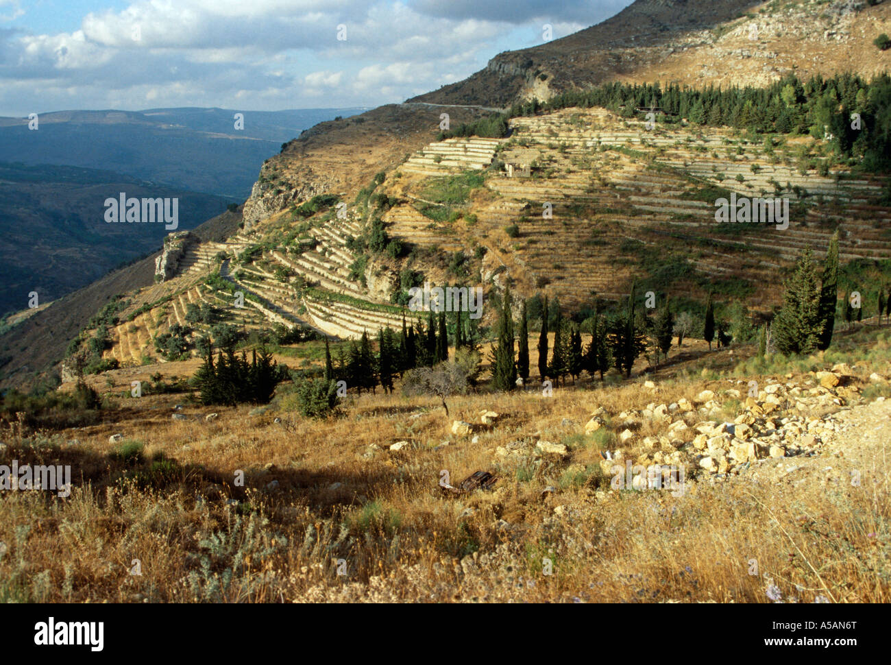 Chouf mountains lebanon hi-res stock photography and images - Alamy