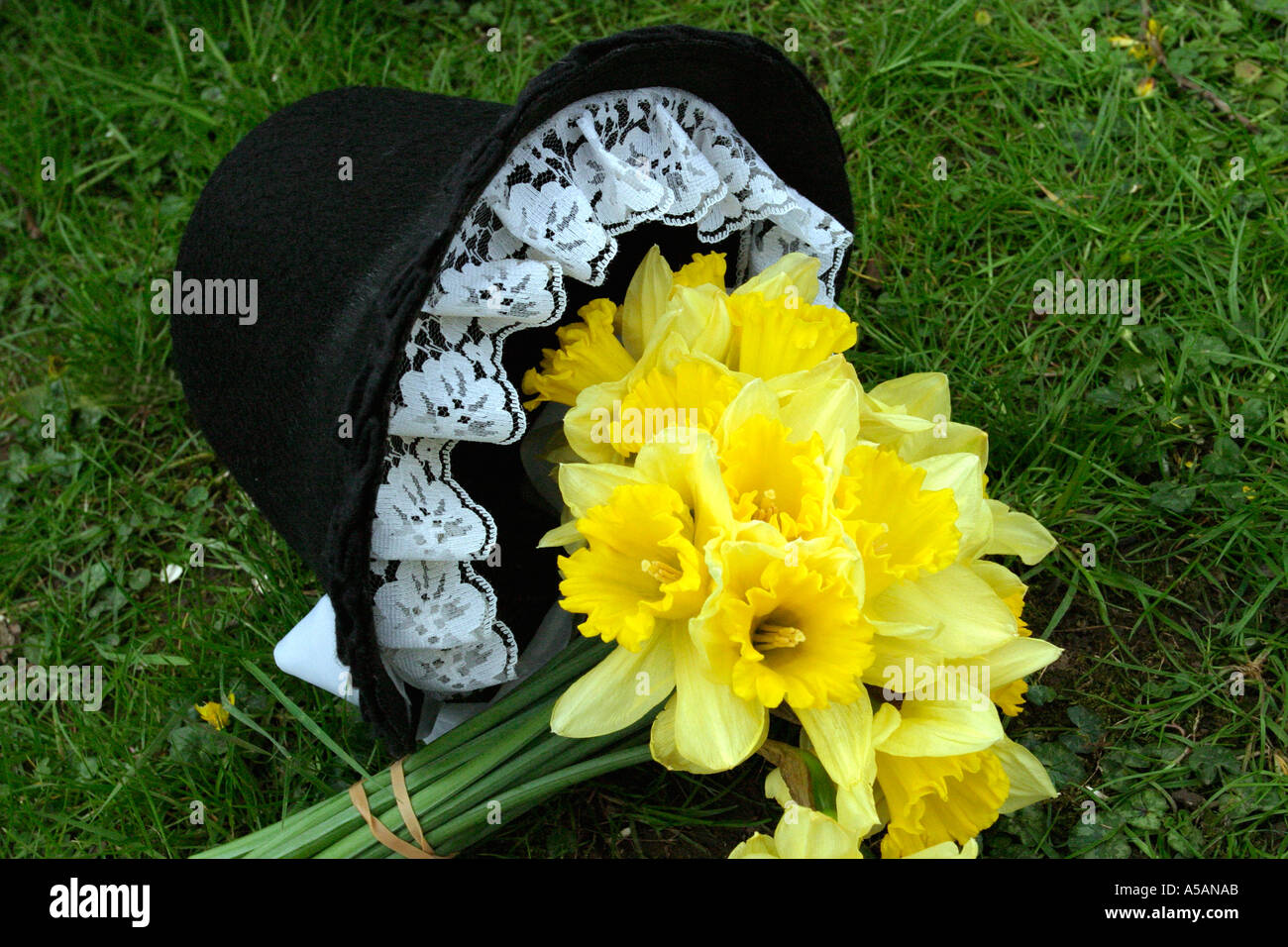 Welsh bonnet with daffodils iconic image Stock Photo - Alamy