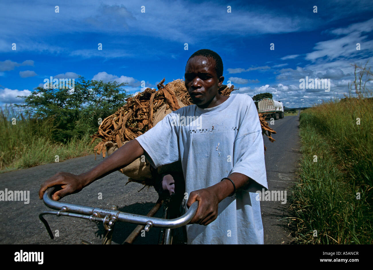 Man carrying goods on bicycle, Malawi, Africa Stock Photo - Alamy