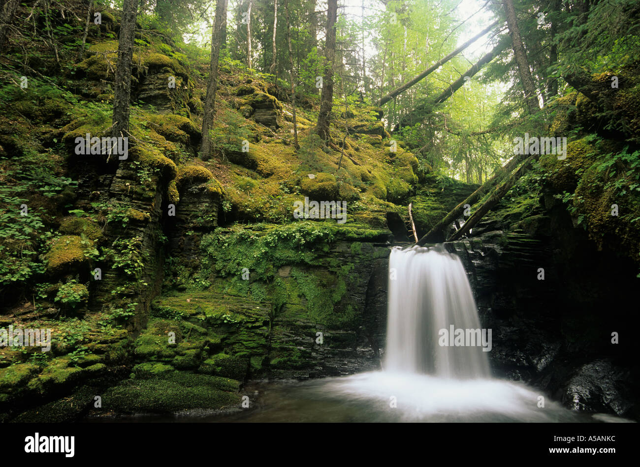 Waterfall on Corral Creek upper Kispiox river valley British Columbia ...