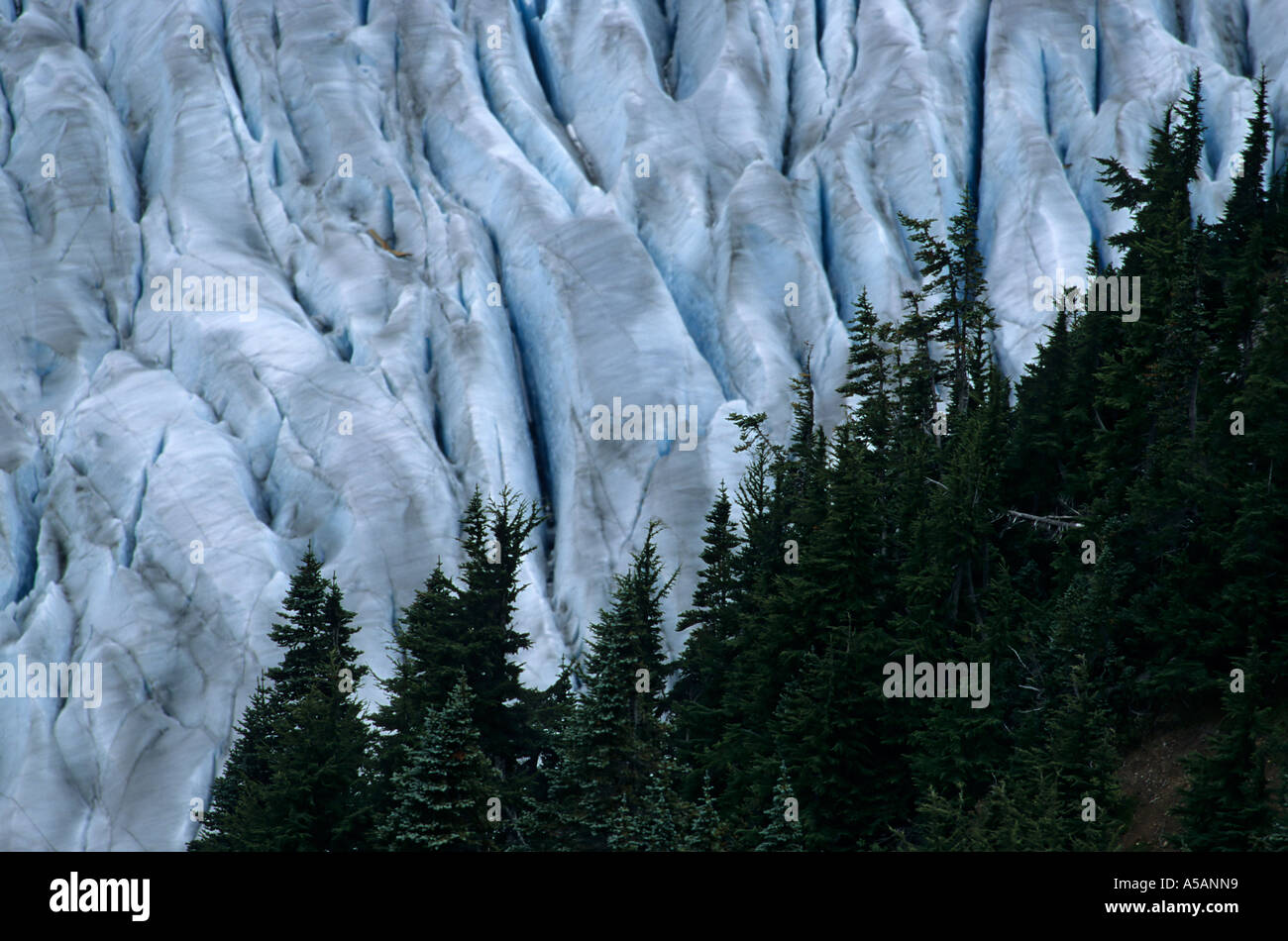 Salmon glacier Stewart British Columbia Canada Stock Photo - Alamy