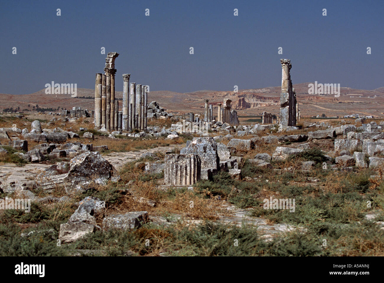 Roman ruins, Palmyra, Syria Stock Photo - Alamy