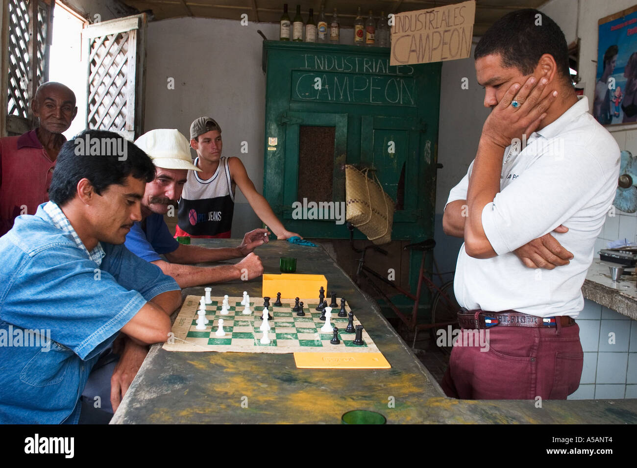 Men playing chess in a bar Cuba Stock Photo - Alamy