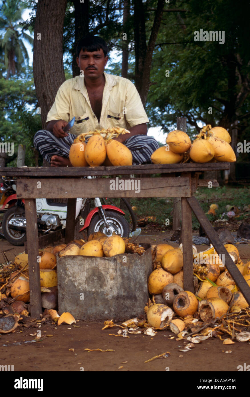 Vendor selling coconuts on roadside, Sri Lanka Stock Photo - Alamy