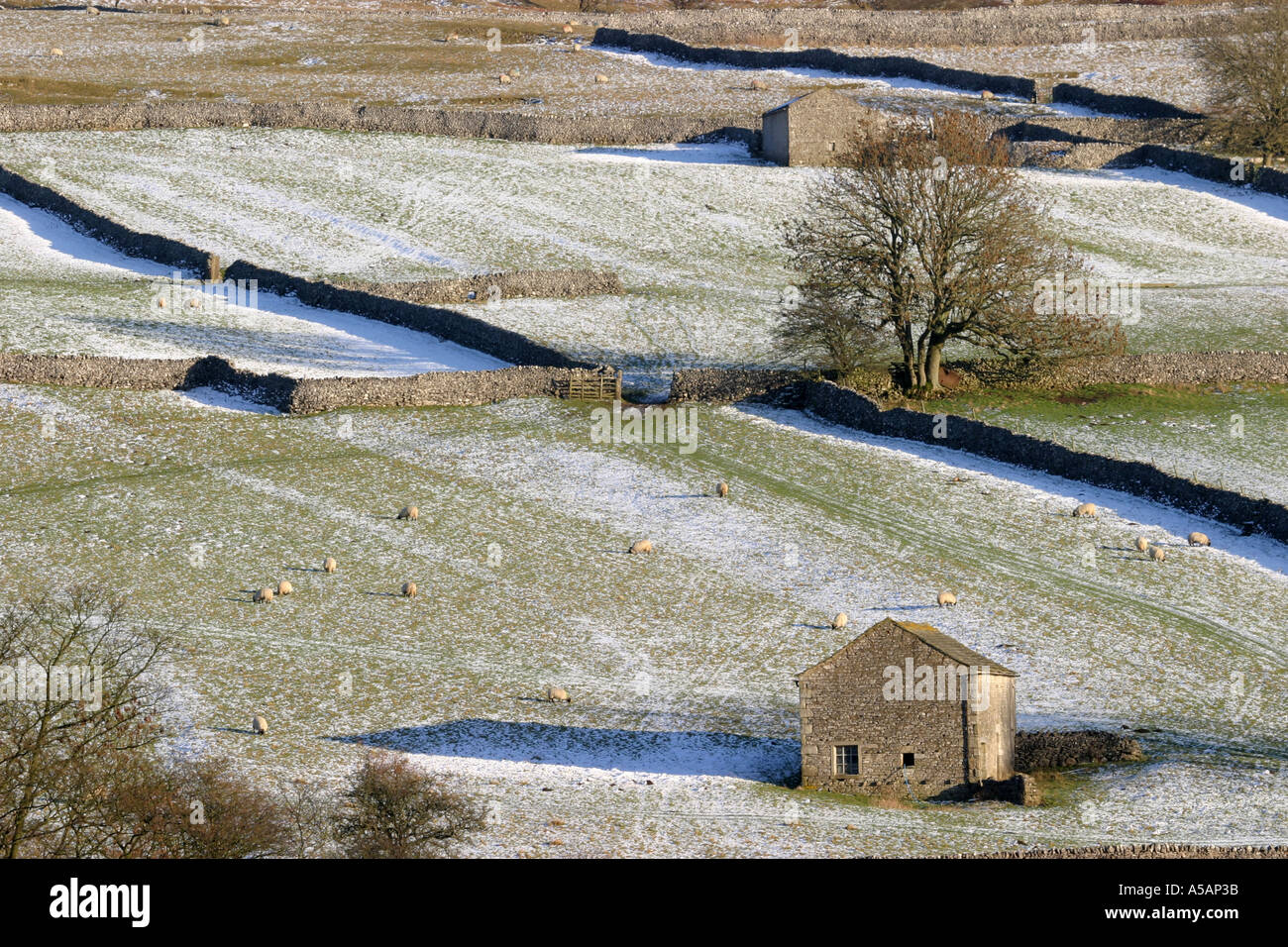 Light dusting snow in field hi-res stock photography and images - Alamy