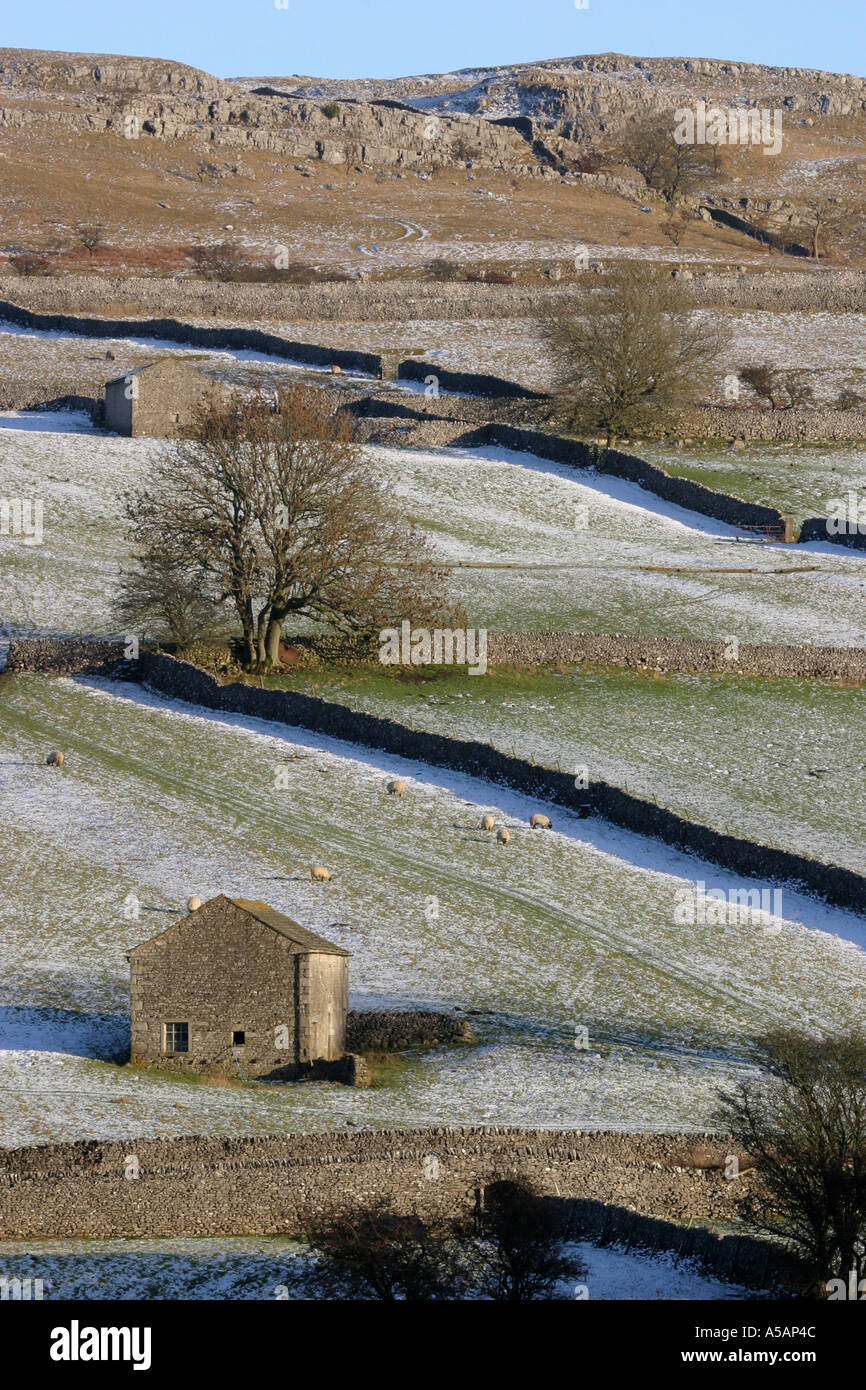 Light dusting snow in field hi-res stock photography and images - Alamy