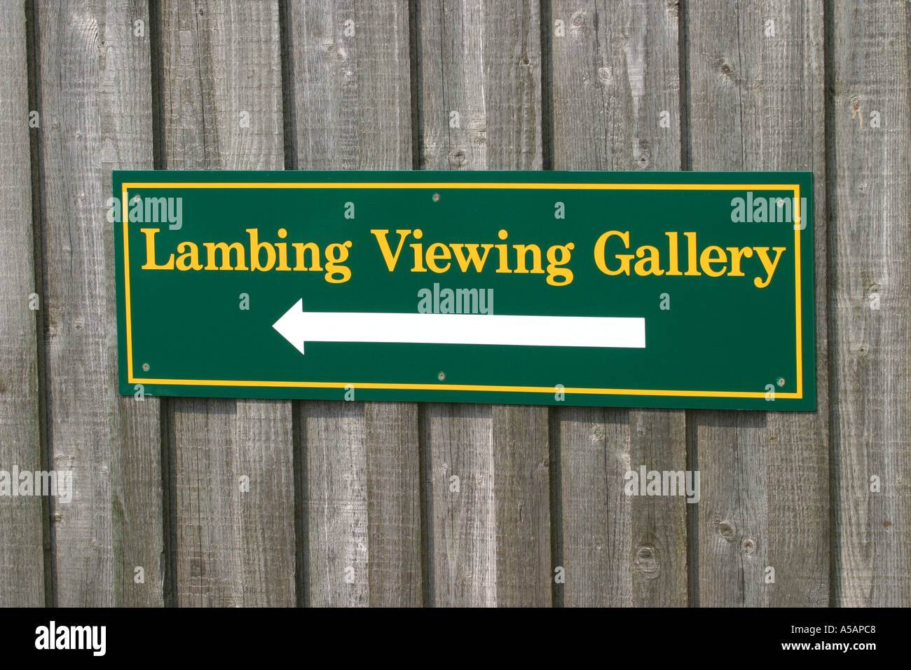 Viewing gallery hi-res stock photography and images - Alamy