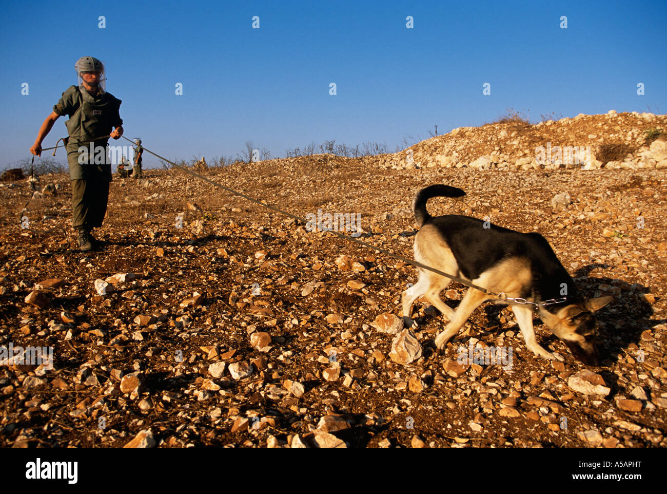 A demining session in Lebanon Stock Photo - Alamy