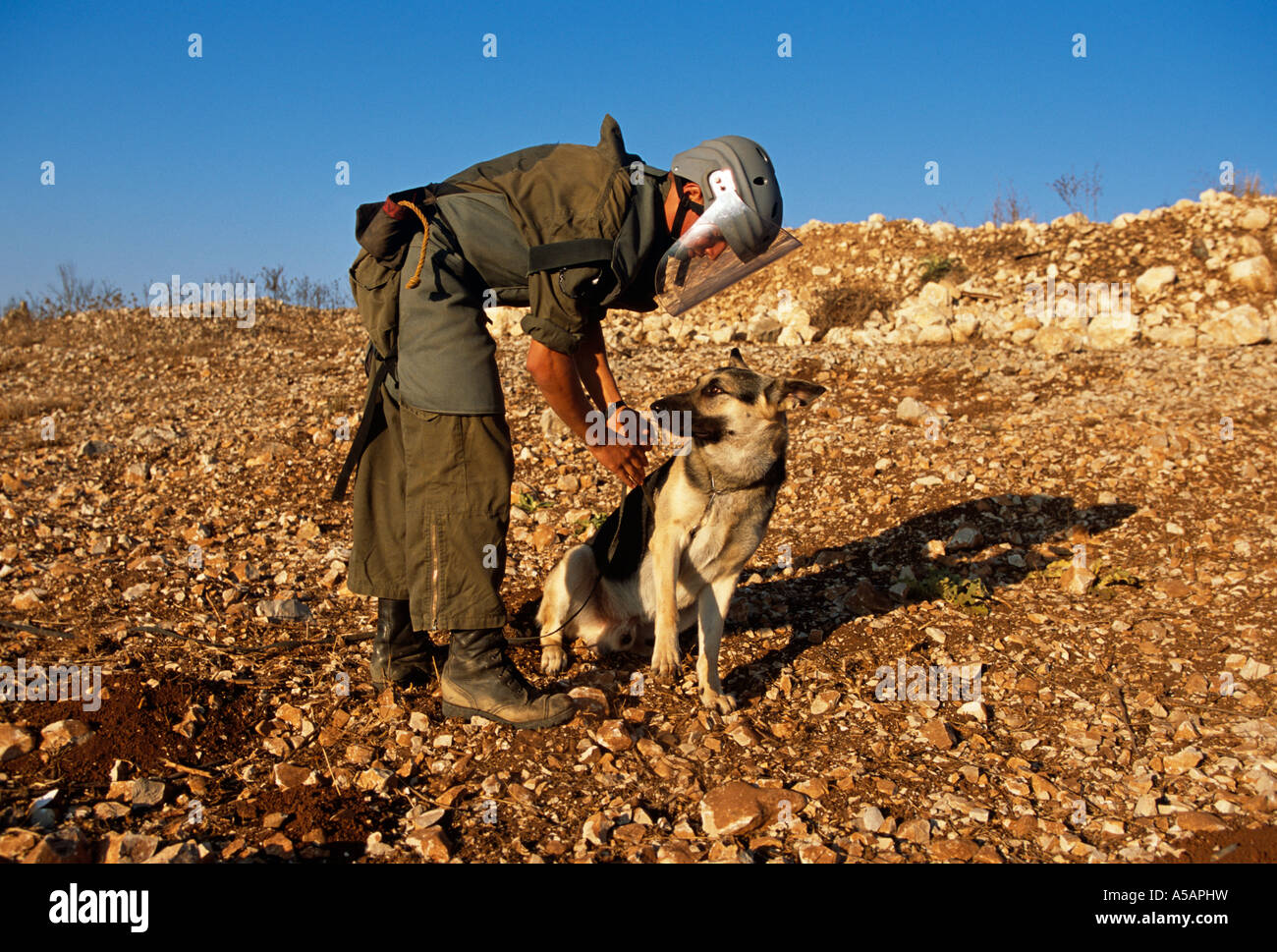 A demining session in Lebanon Stock Photo - Alamy