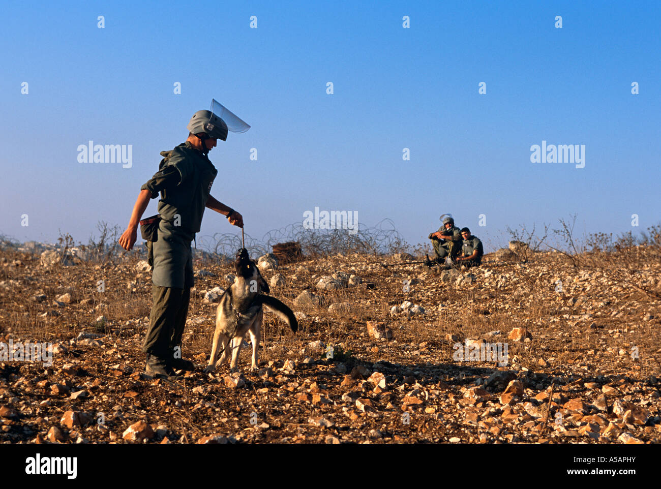 A demining session in Lebanon Stock Photo - Alamy