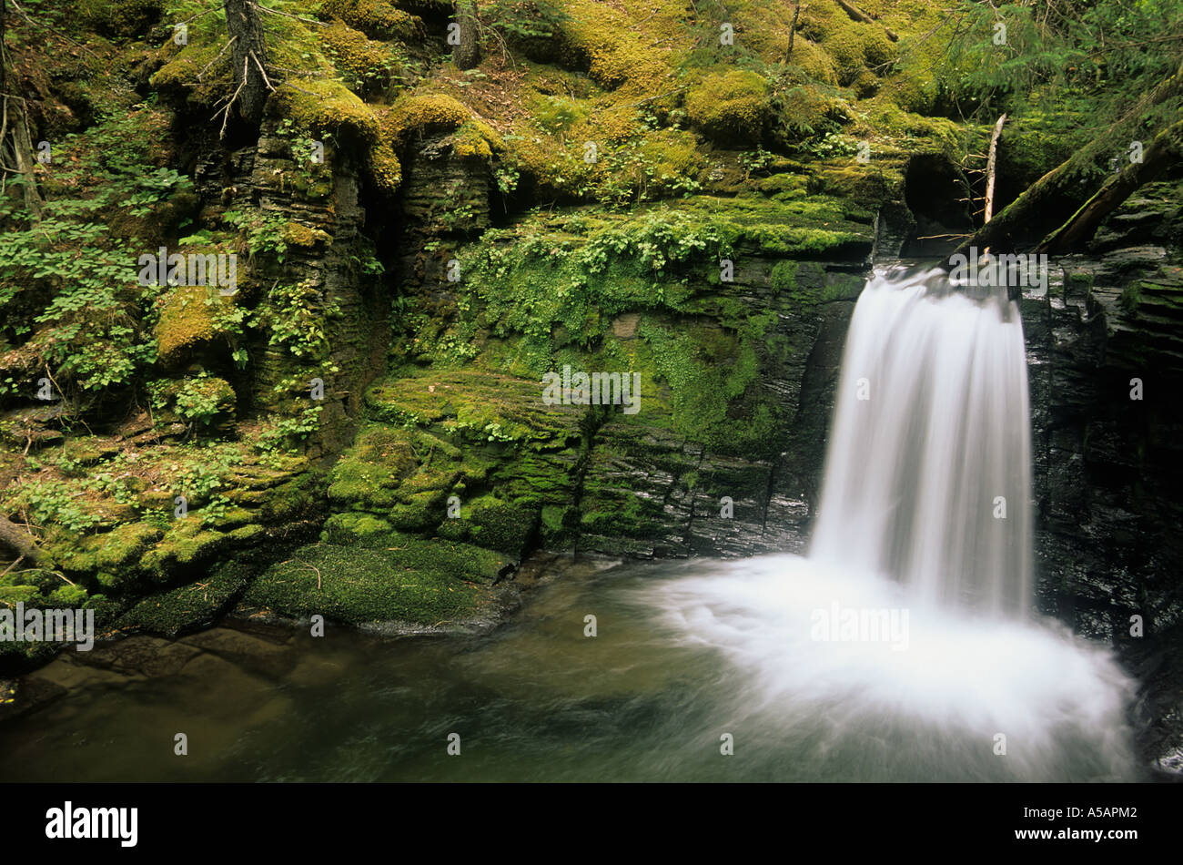 Waterfall on Corral Creek upper Kispiox river valley British Columbia ...
