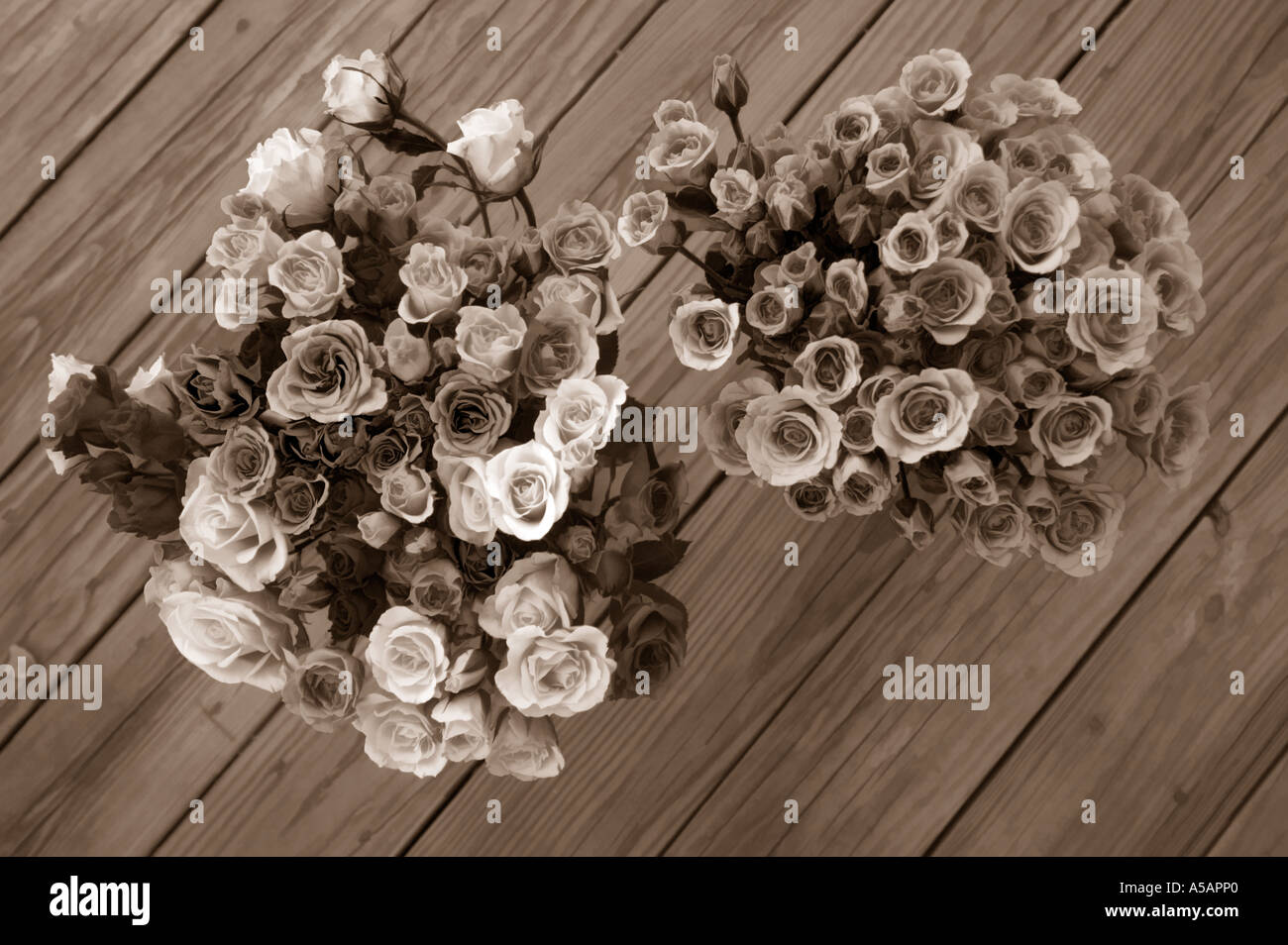 Two Coffee Colored Rose Flower Bouquets Pictured on a Wooden Deck ...