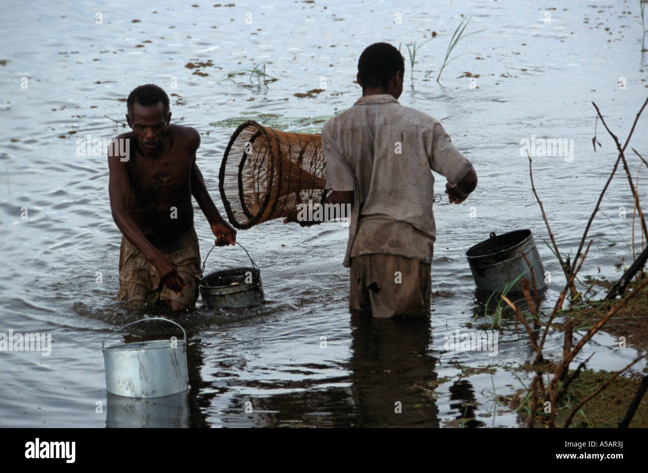 Men using pails and net to fish, Lake Malawi, Africa Stock Photo - Alamy