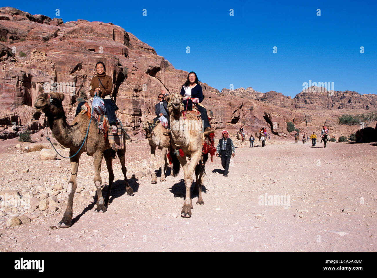 Tourists riding camels, Petra, Jordan Stock Photo - Alamy