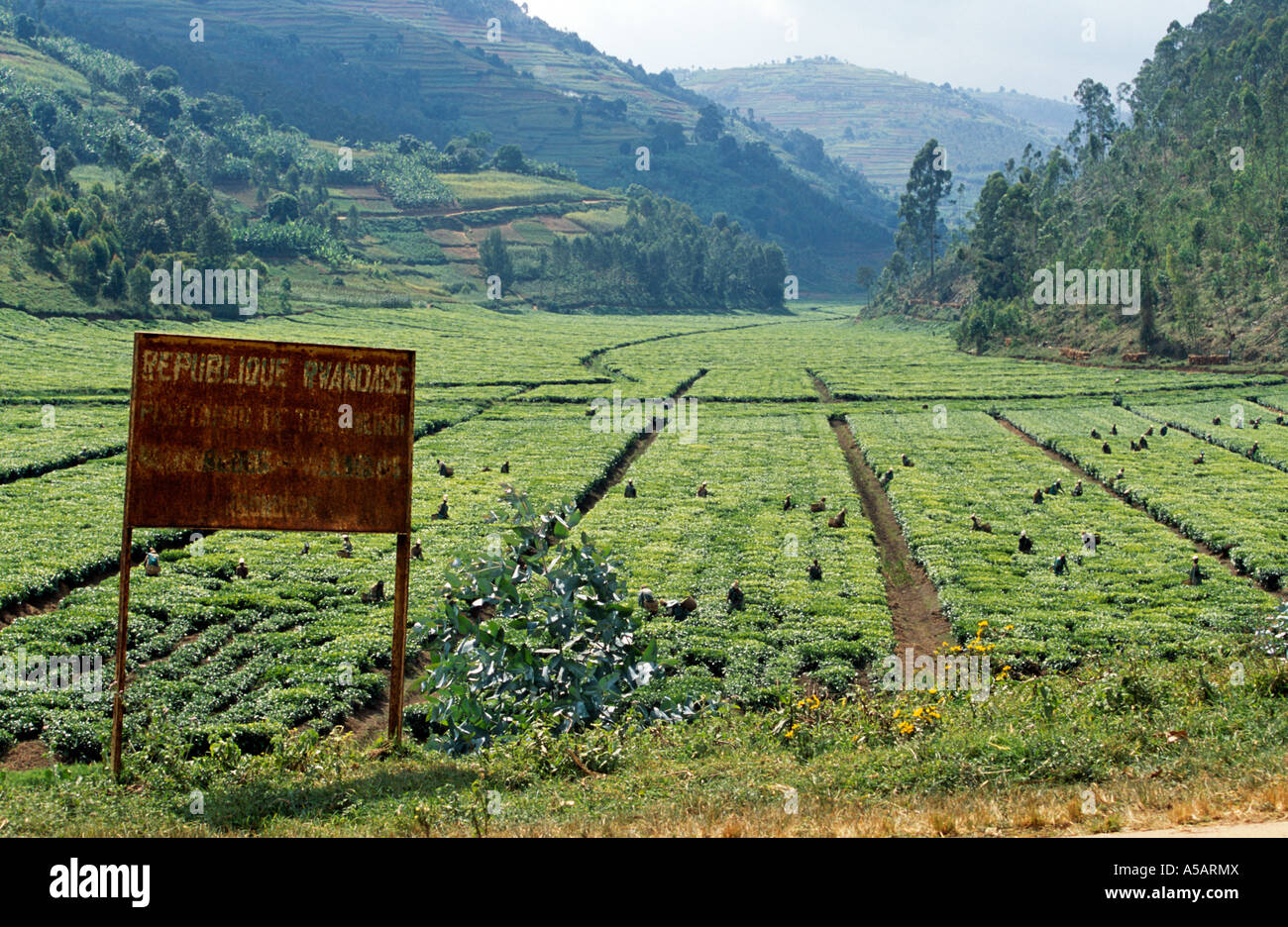 Malawi farmers hi-res stock photography and images - Alamy