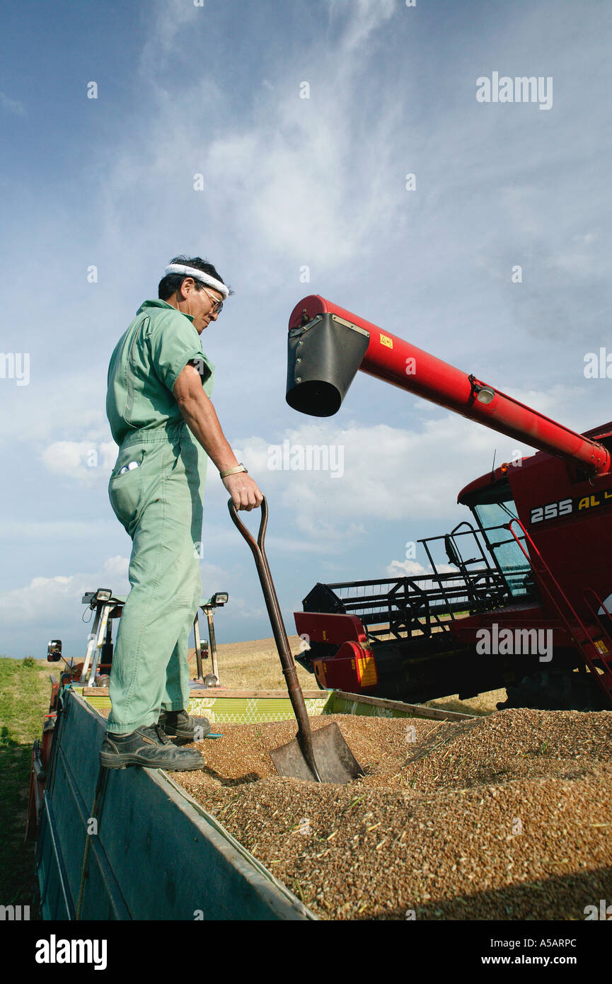 Mature man working on combine hi-res stock photography and images - Alamy