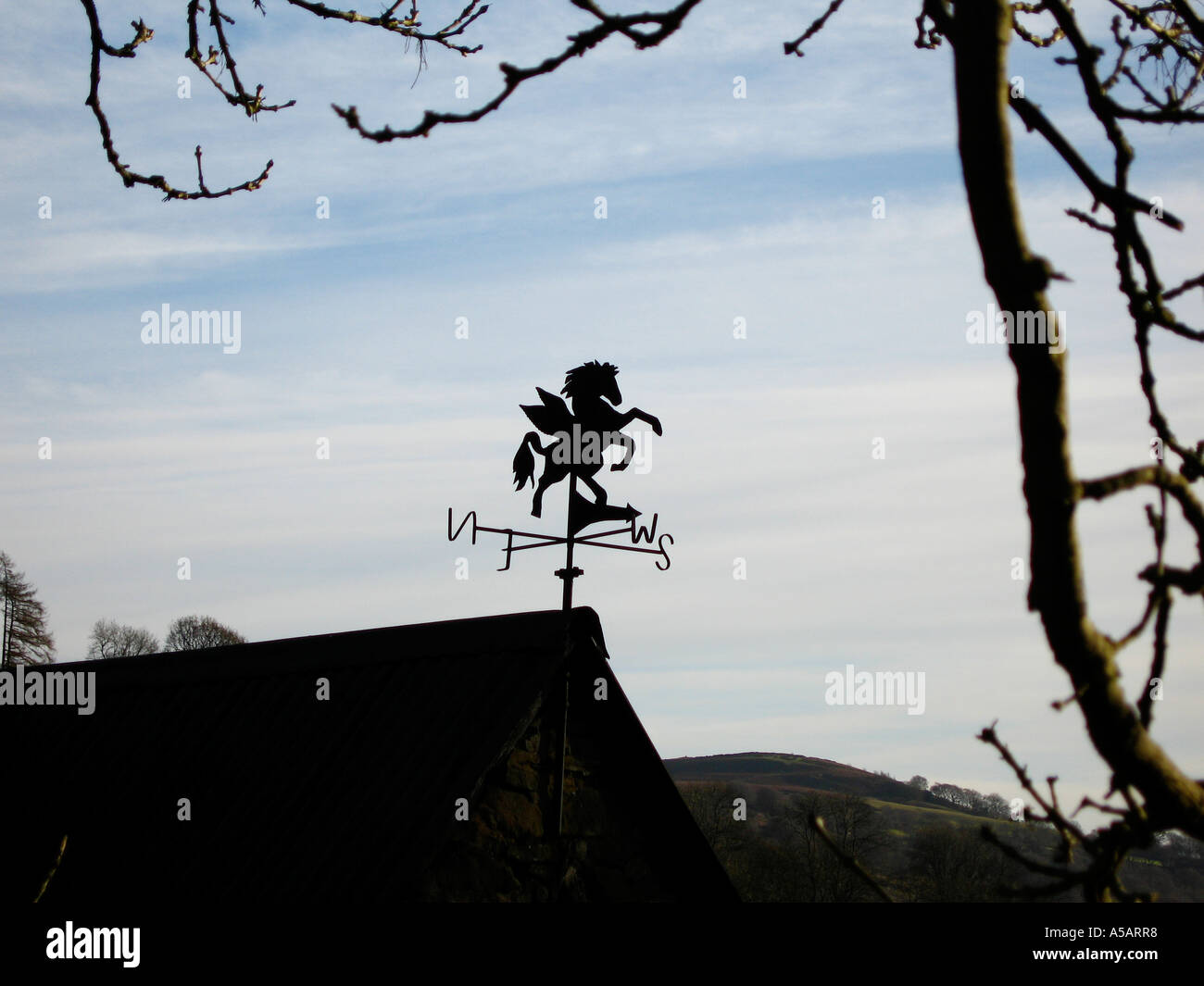 Weather vane on barn hi-res stock photography and images - Alamy