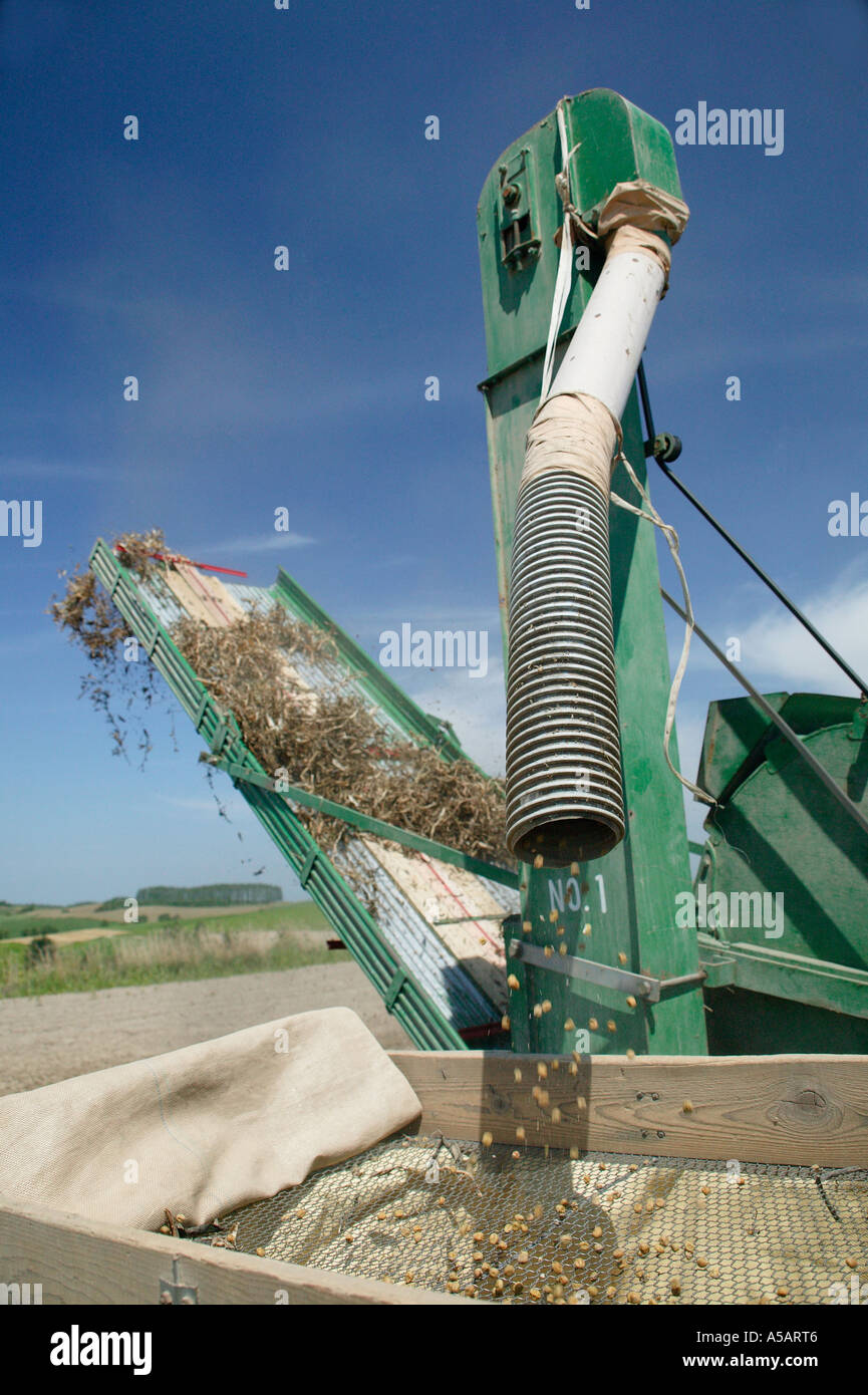 Pea harvester hi-res stock photography and images - Alamy