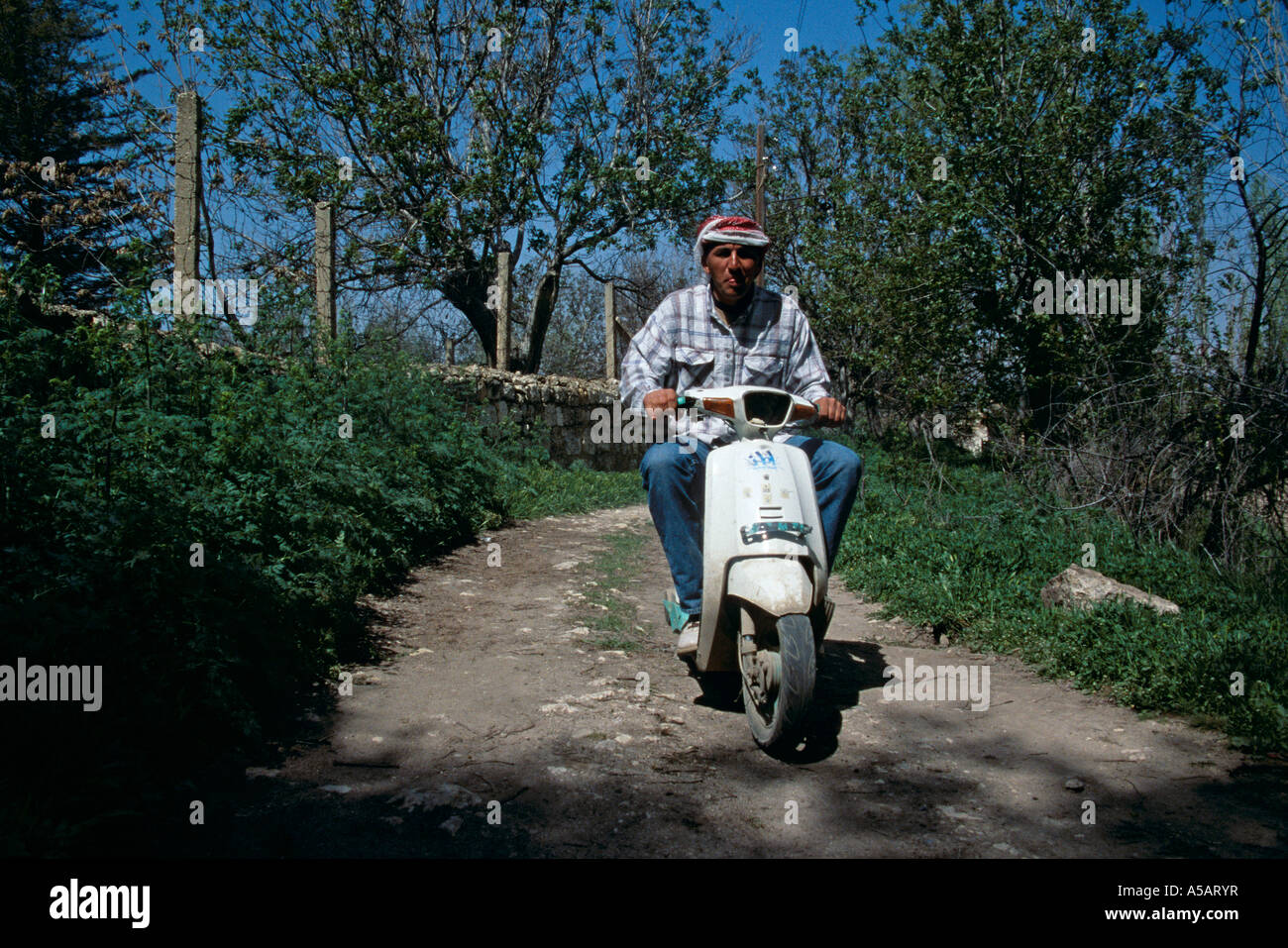 Farmer driving motorcycle, Baalbeck, Lebanon Stock Photo - Alamy