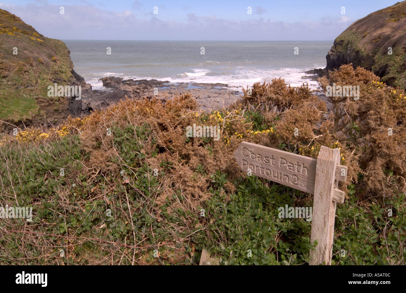 on the South west coast path between port issac and port quin cornwall ...