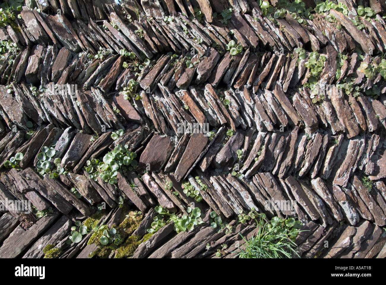 Section of cornish stone wall hi-res stock photography and images - Alamy