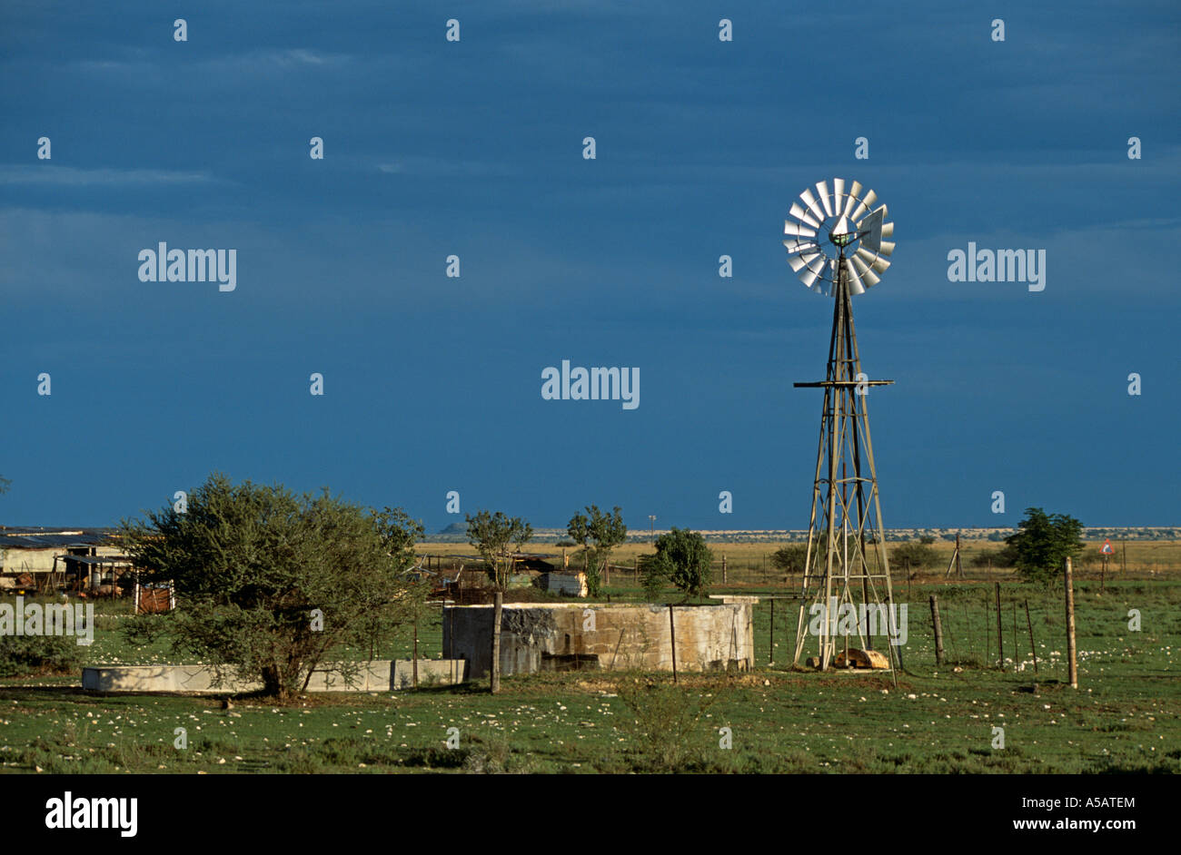 A cattle farm in Northern Cape South Africa Stock Photo - Alamy