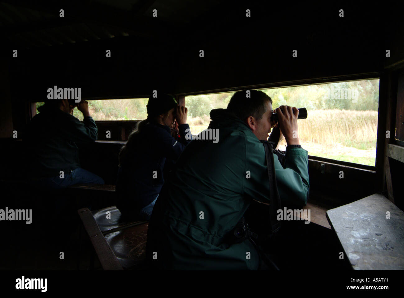 Uk outdoors forest person wildlife hi-res stock photography and images ...