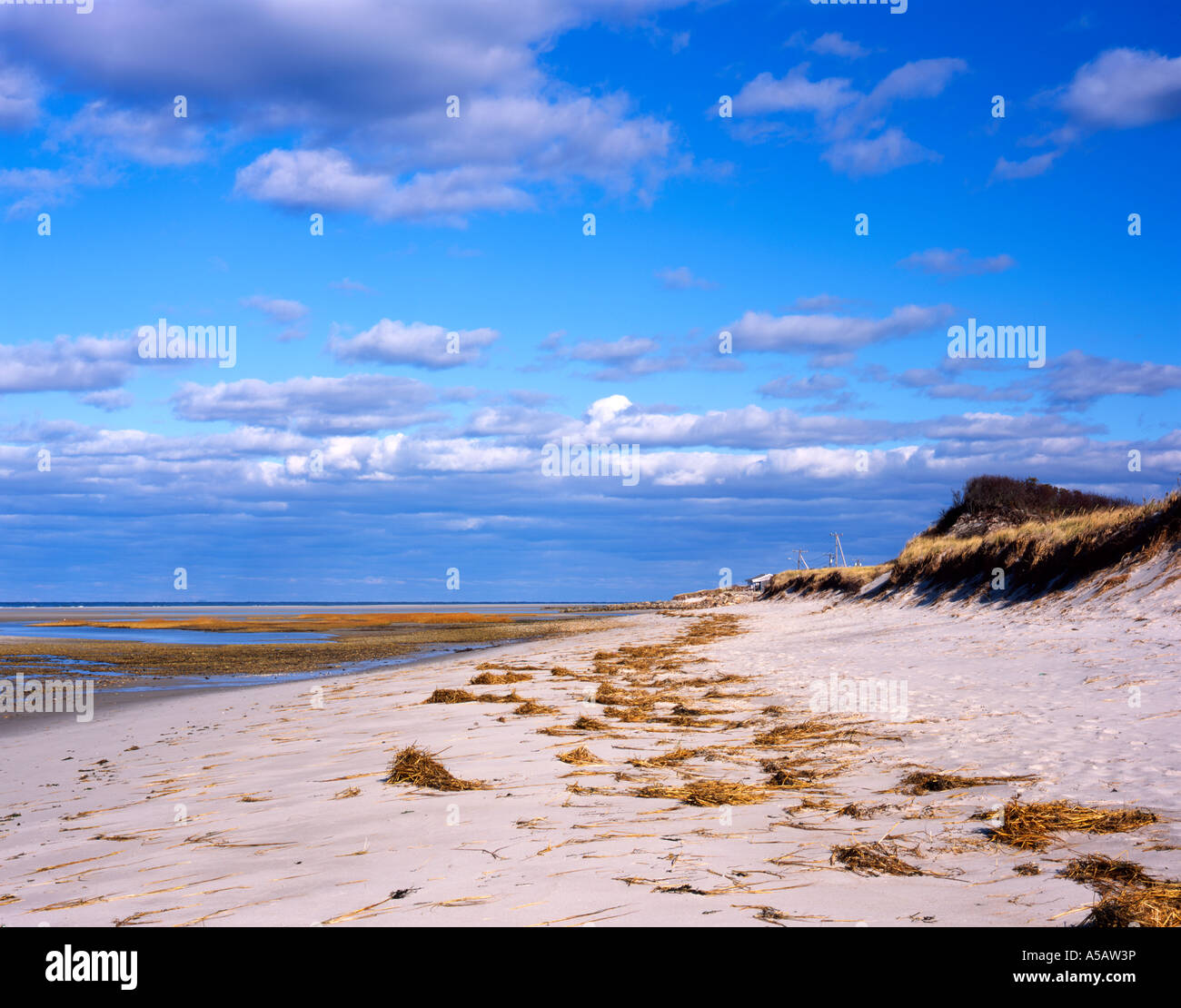 Chapin Beach Dennis Cape Cod MA USA Stock Photo - Alamy