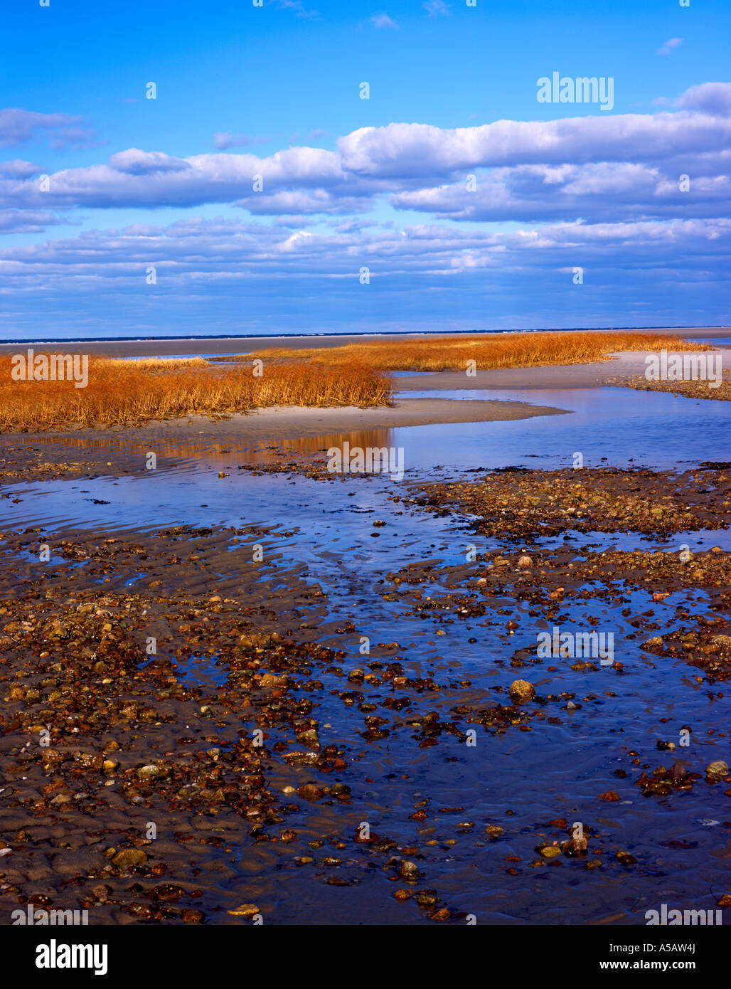 Chapin Beach @ Low Tide, Dennis, Cape Cod USA Stock Photo - Alamy