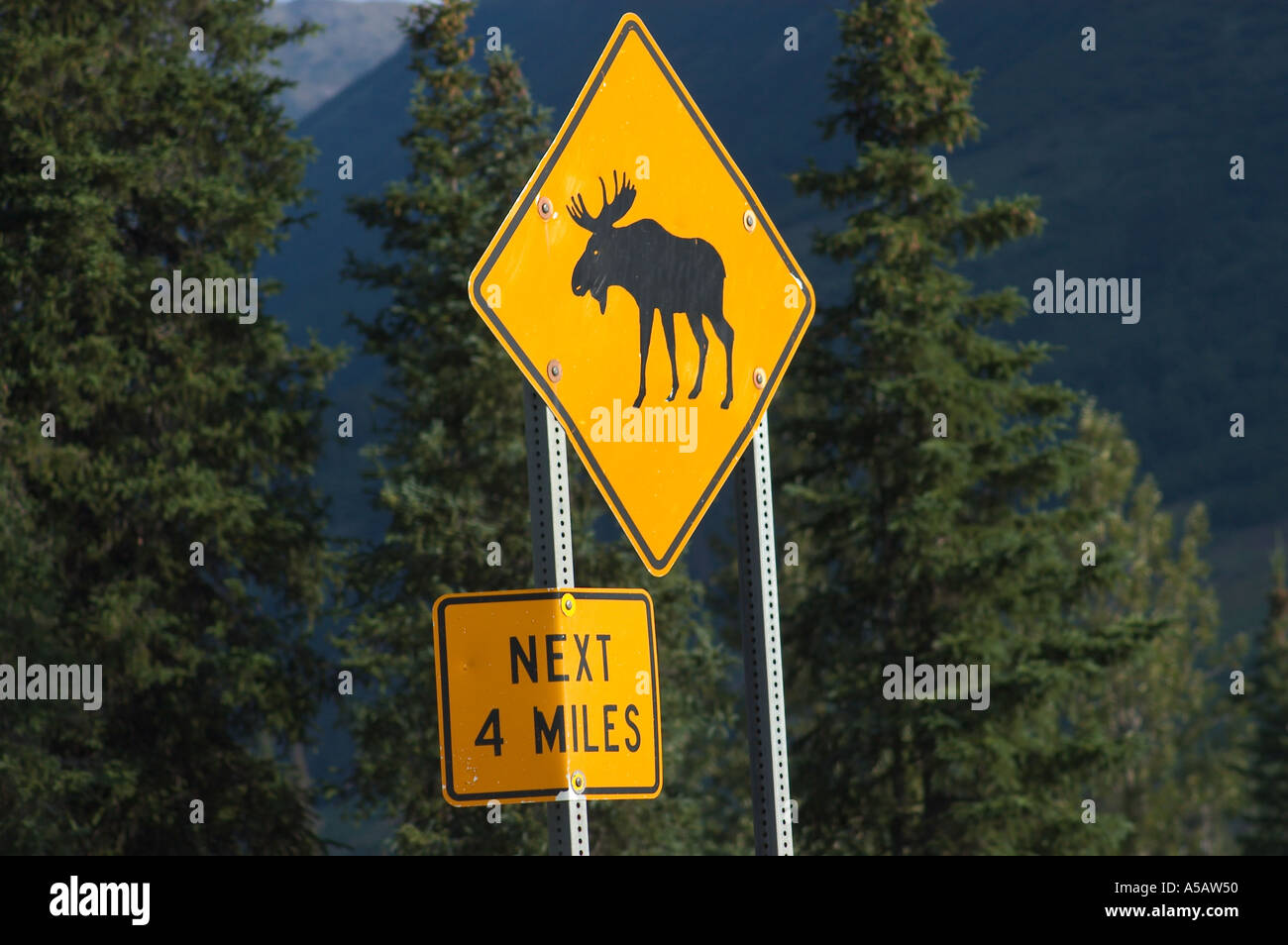 moose sign Alaska Stock Photo - Alamy