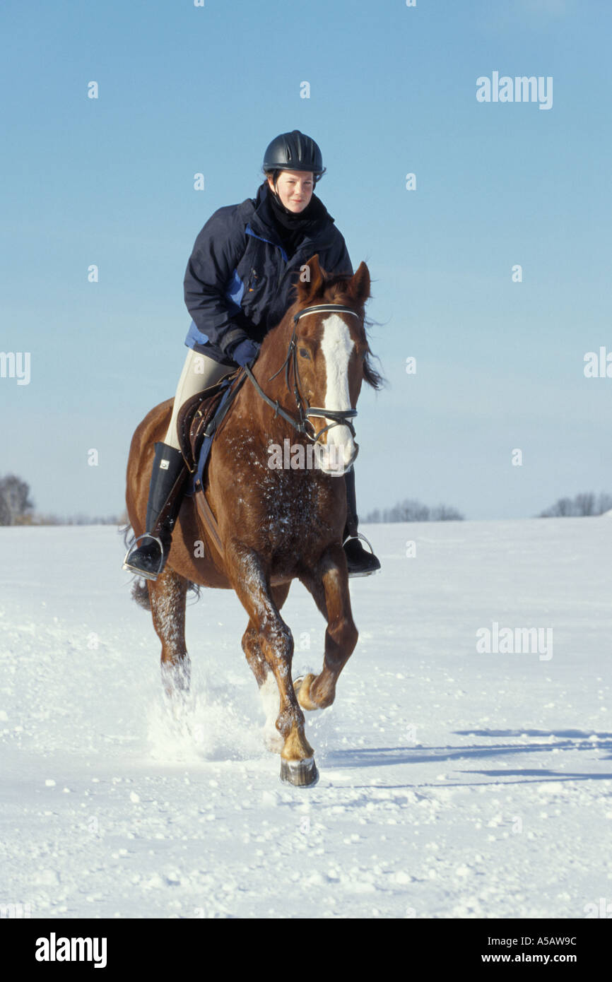 Lady rider in blue hi-res stock photography and images - Alamy