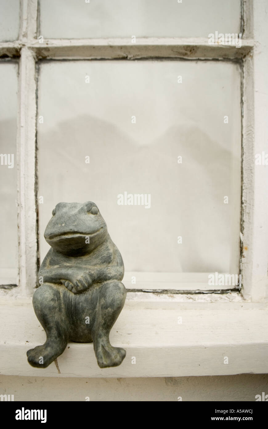 Frog on the window hi-res stock photography and images - Alamy