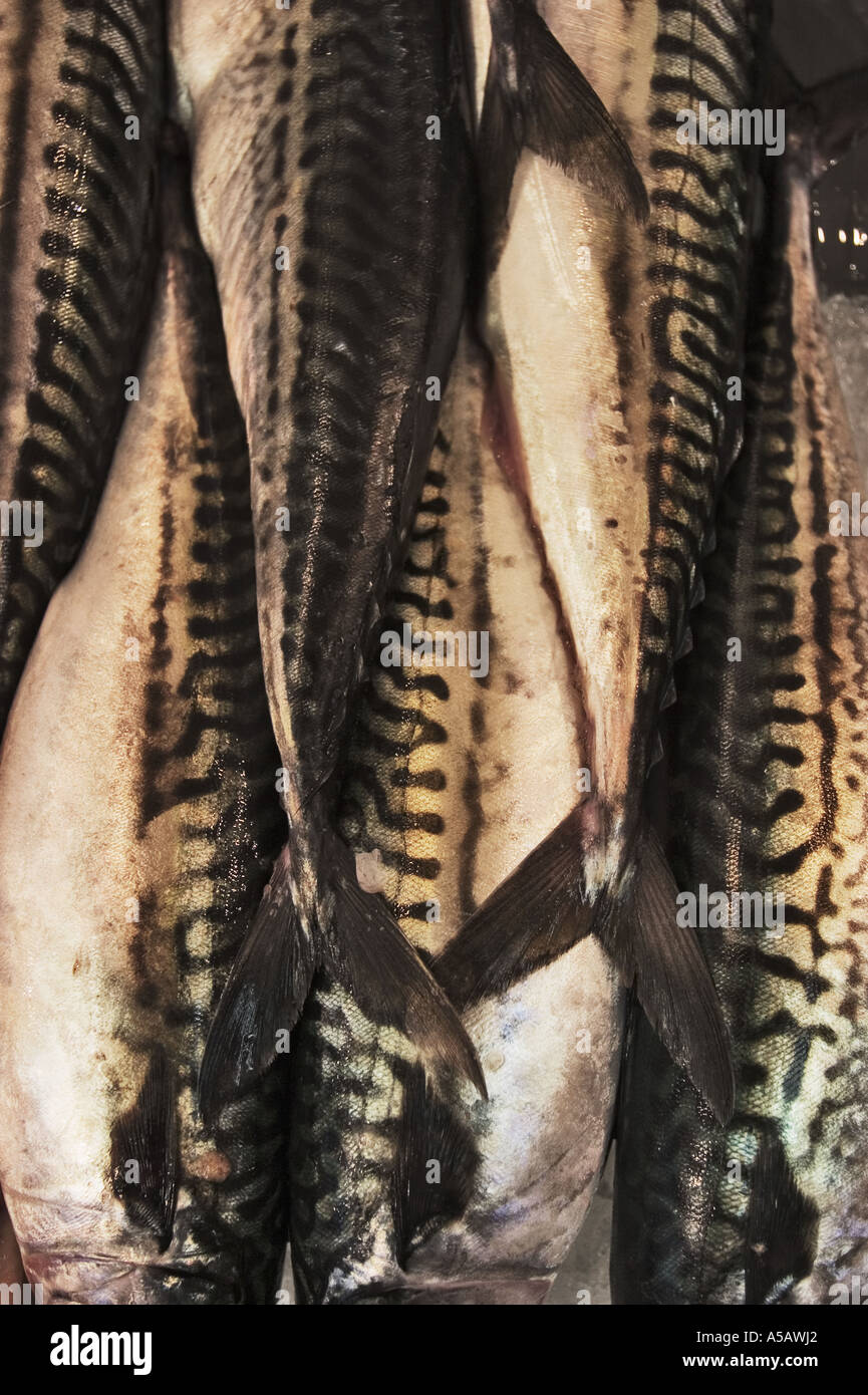 Mackerel Kensington Market Toronto Canada Stock Photo - Alamy