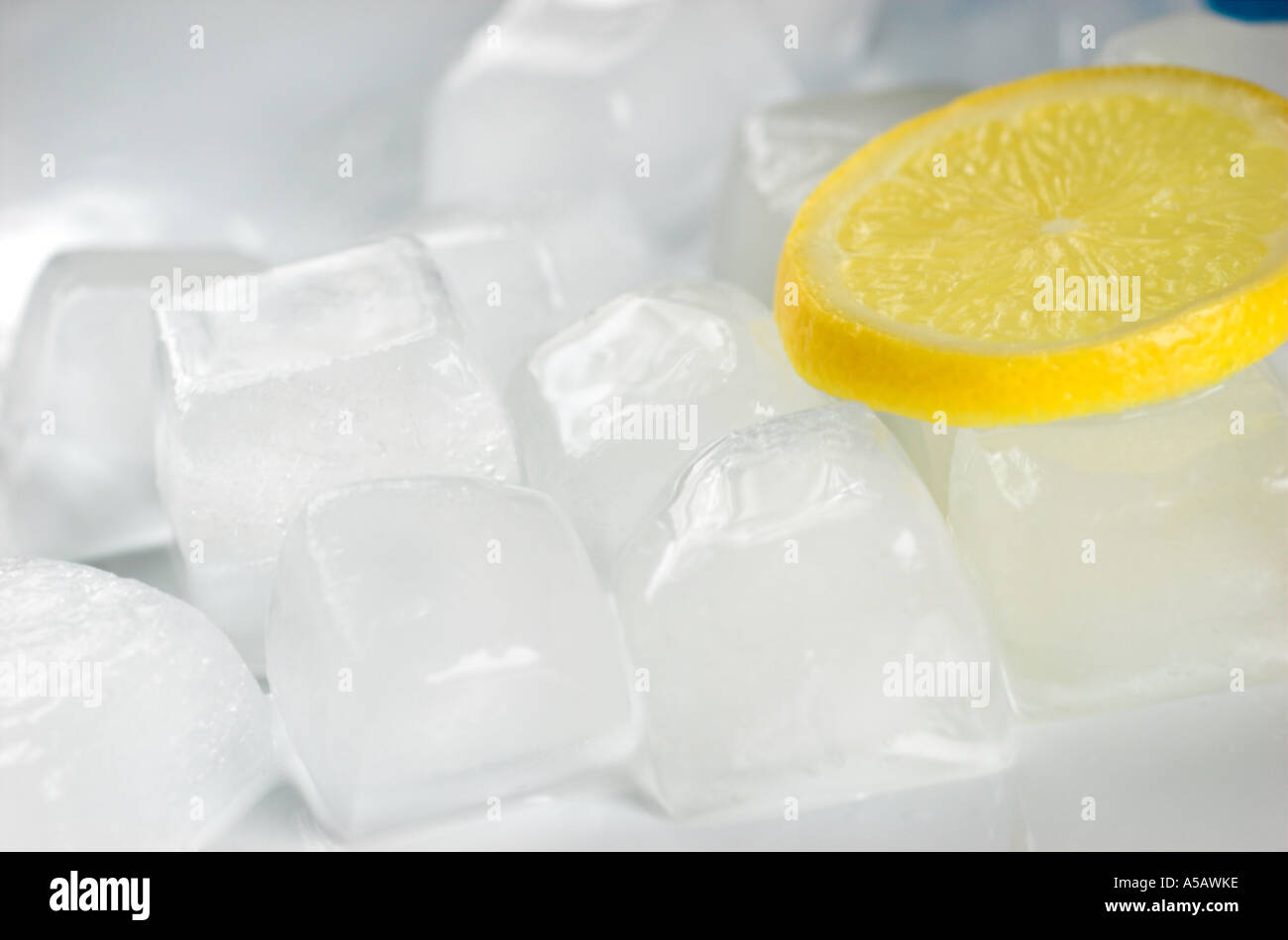 Slice of lemon on ice Stock Photo - Alamy