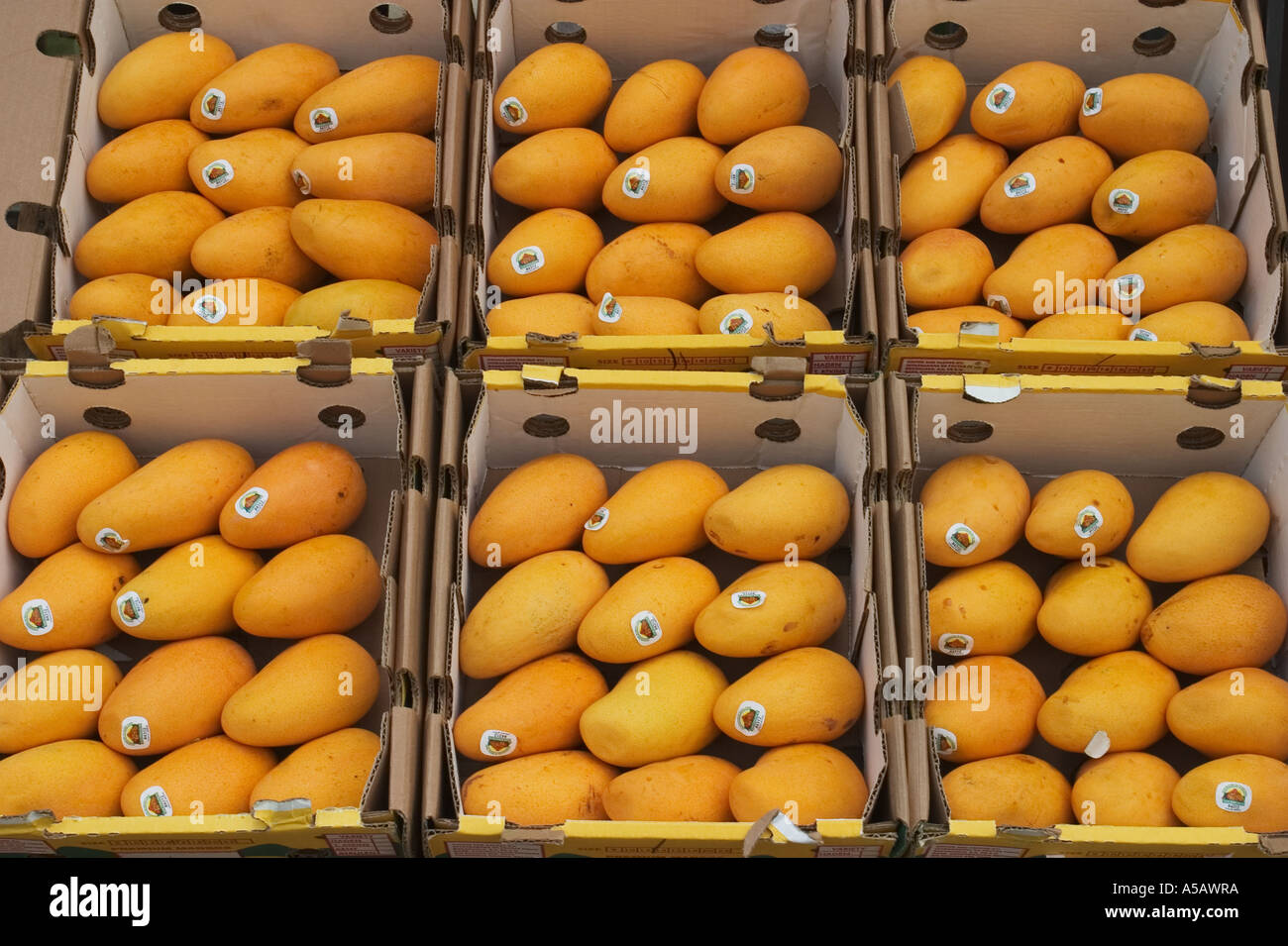 Box of mangos hi-res stock photography and images - Alamy