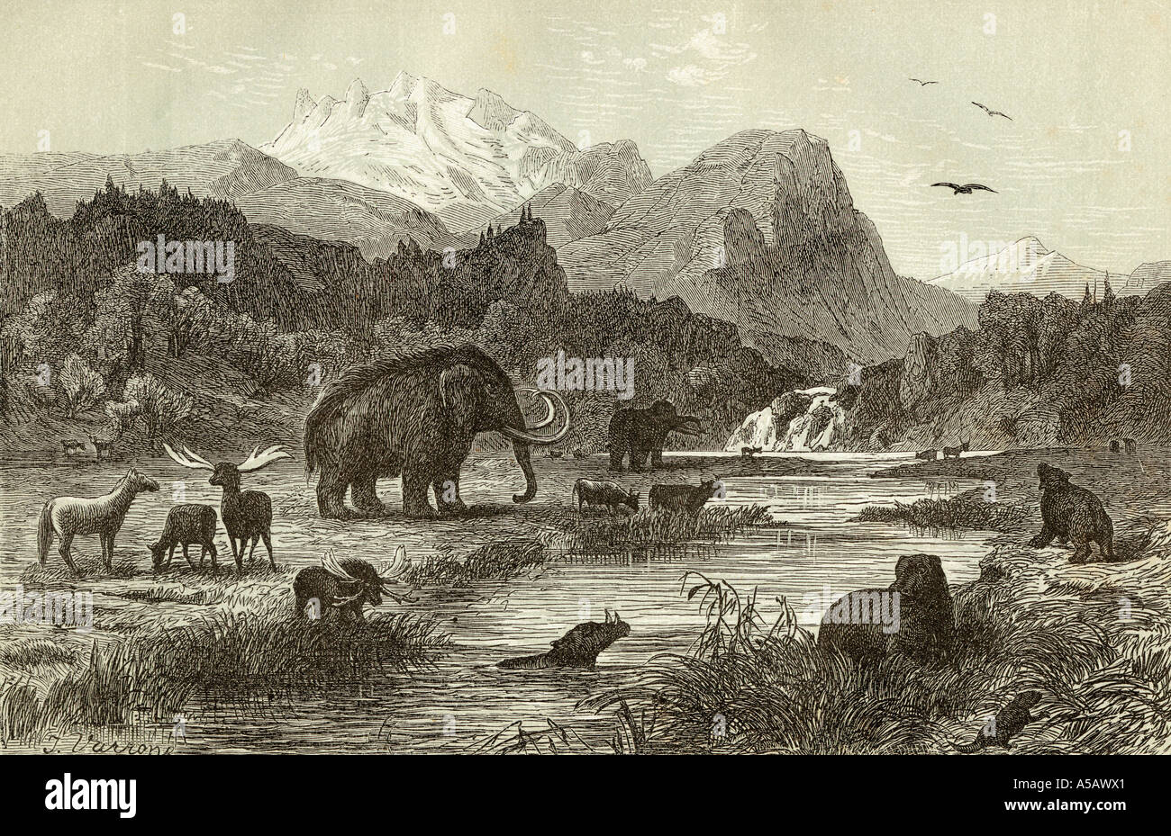 Pliocene hi-res stock photography and images - Alamy