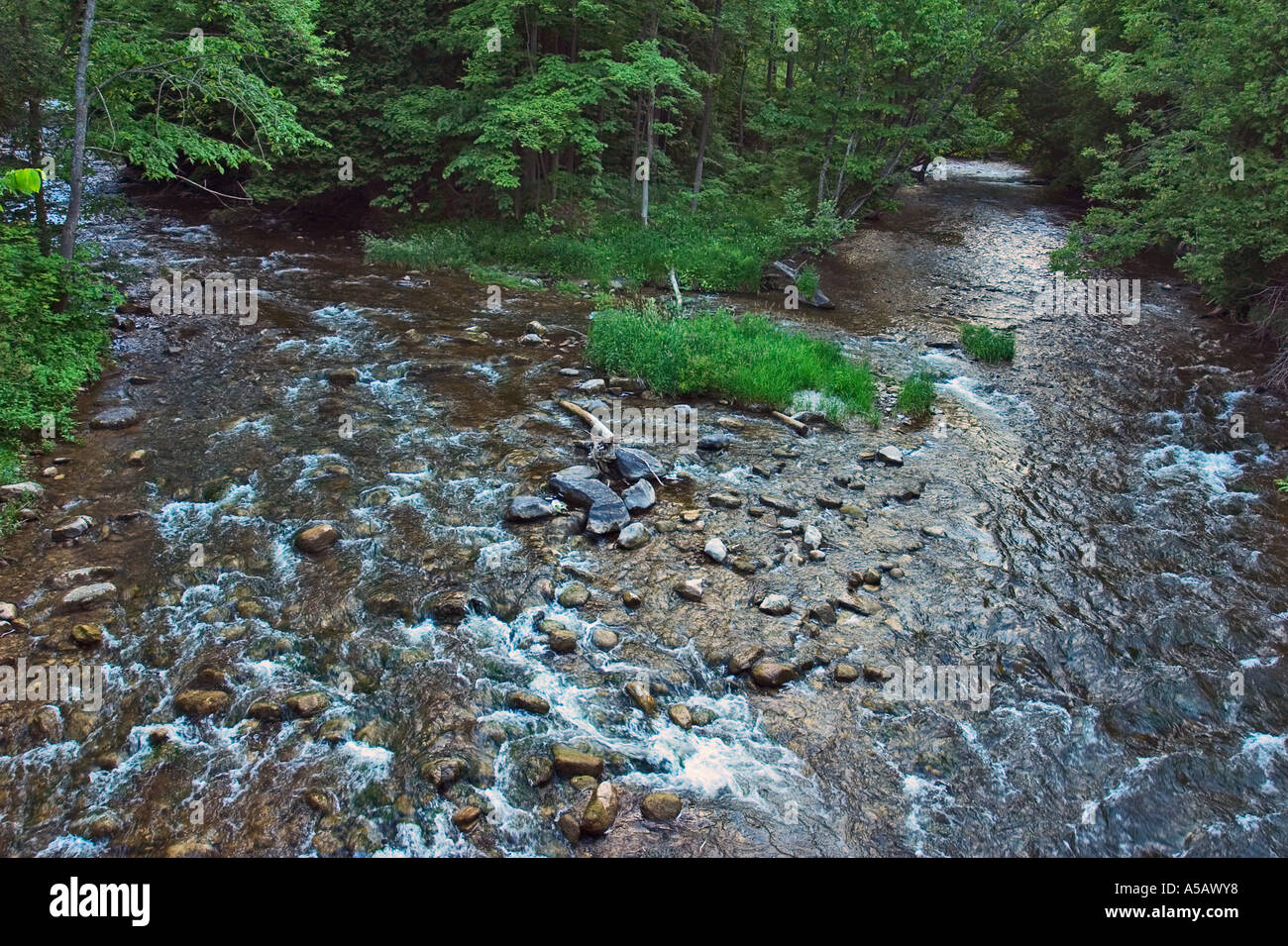 Forks of the credit river hi-res stock photography and images - Alamy