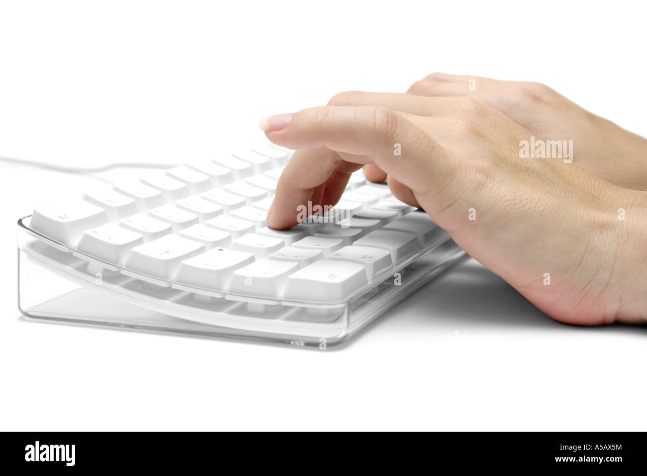 Female hands typing on a white computer keyboard. Isolated on a white ...