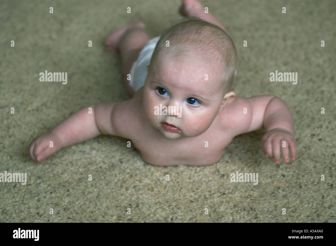 Baby newborn lifting head hi-res stock photography and images - Alamy