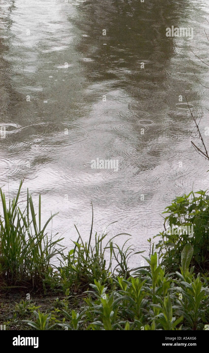 rain falling on the river Stock Photo - Alamy
