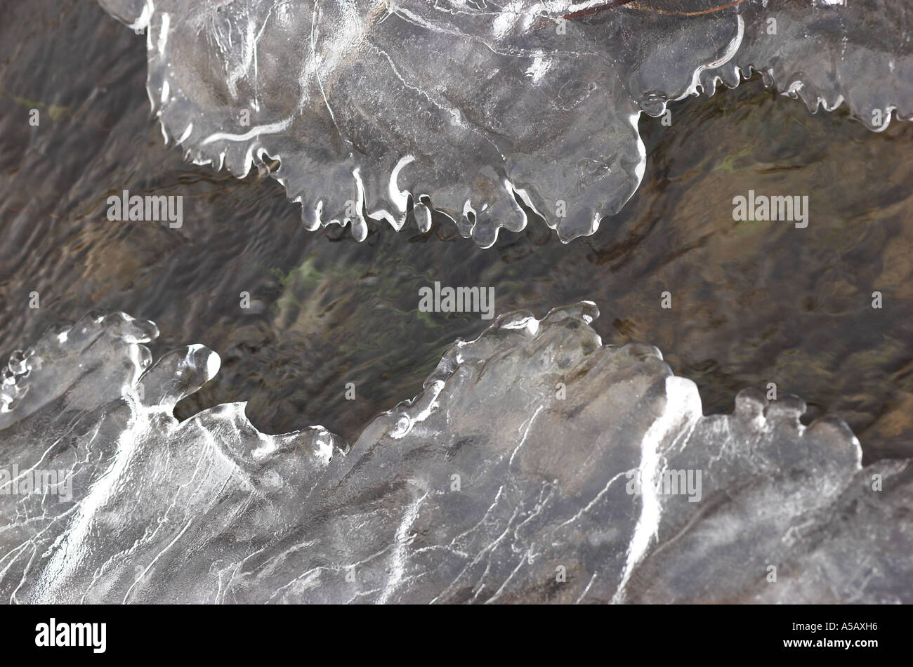 Ice formation on stream close up Stock Photo - Alamy