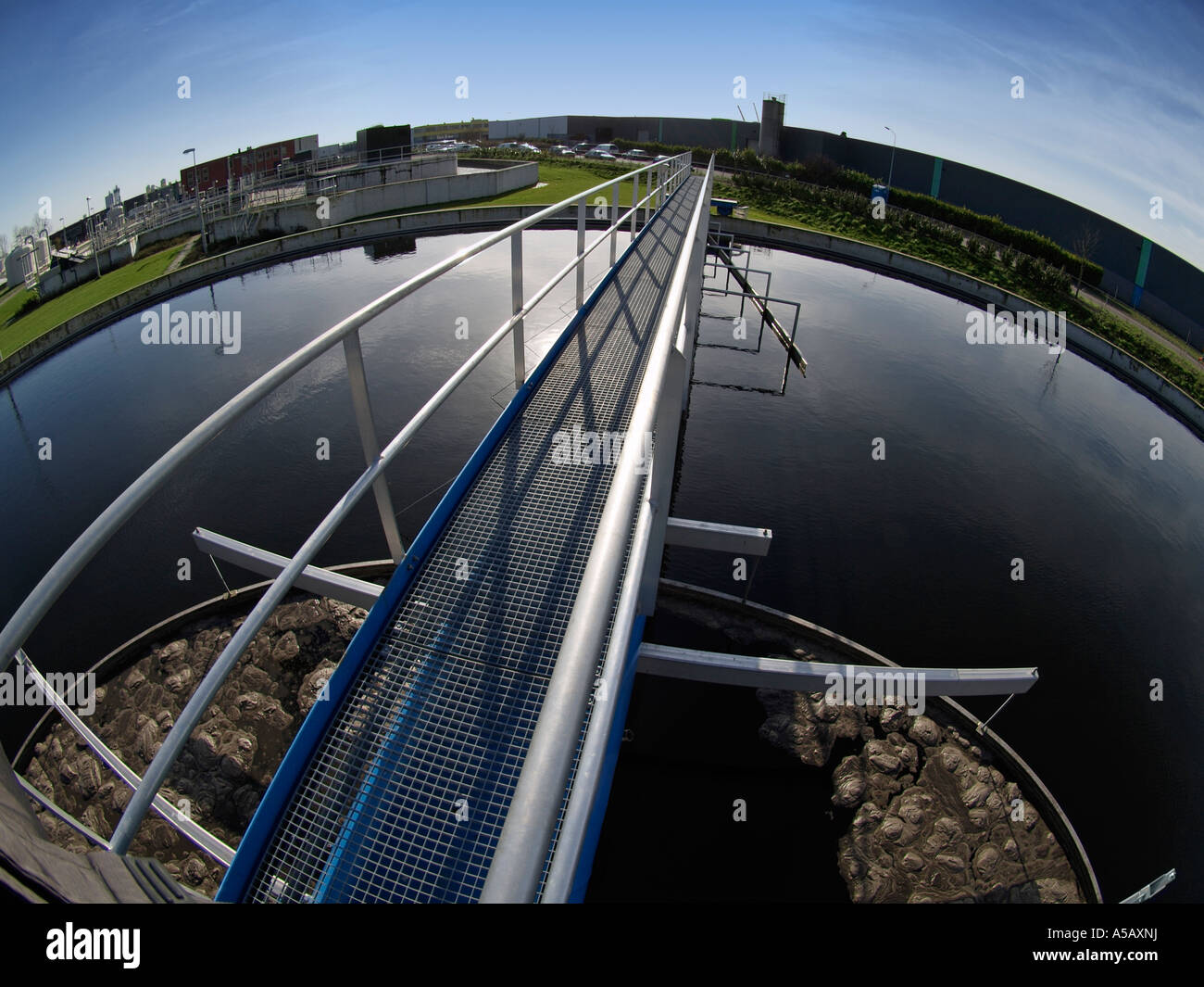 Basin full of fresh and almost clean water with floating silt in the ...