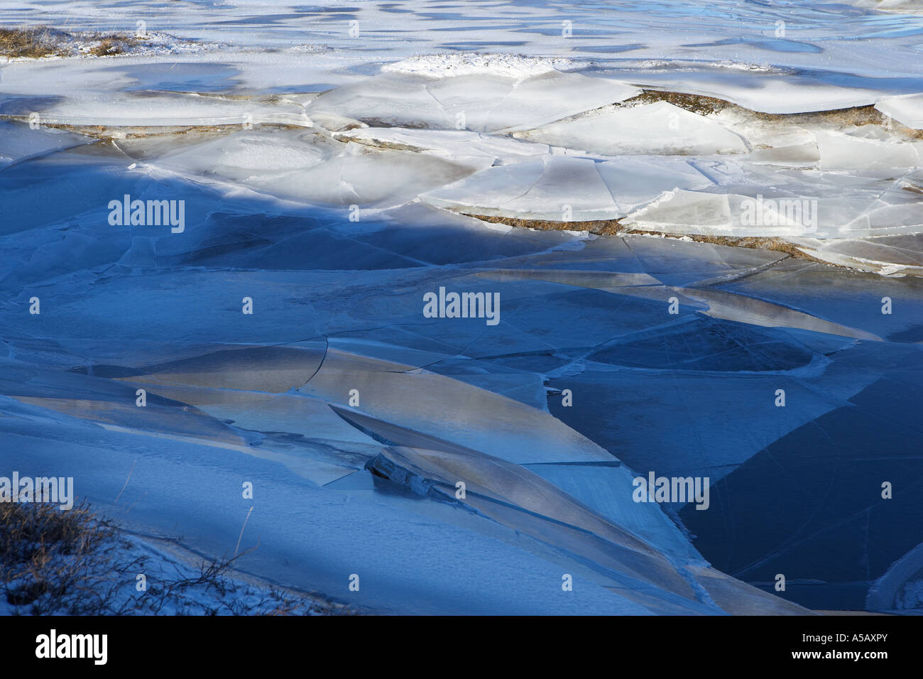 Ice sheets arctic hi-res stock photography and images - Alamy