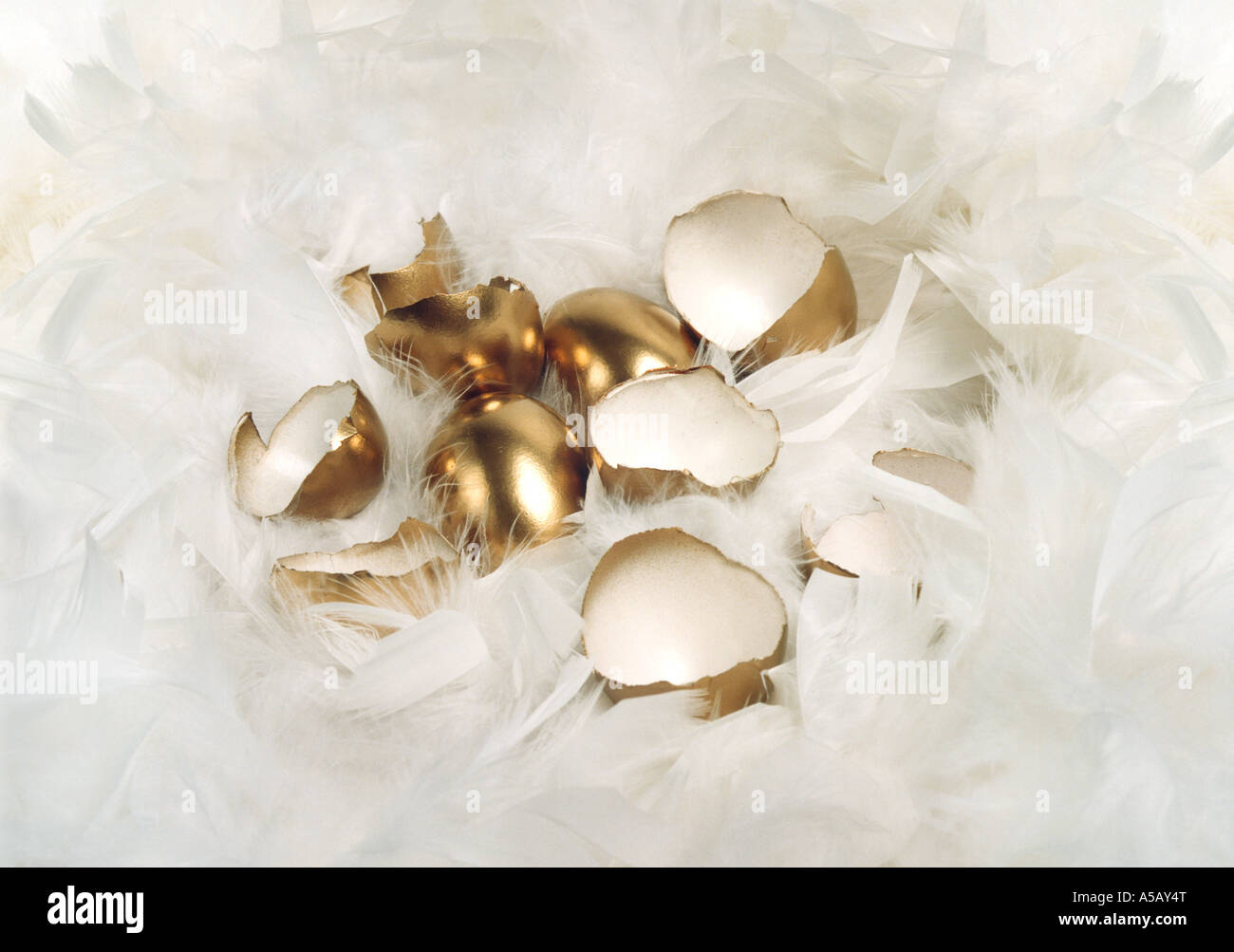 Gold eggs and shells hi-res stock photography and images - Alamy