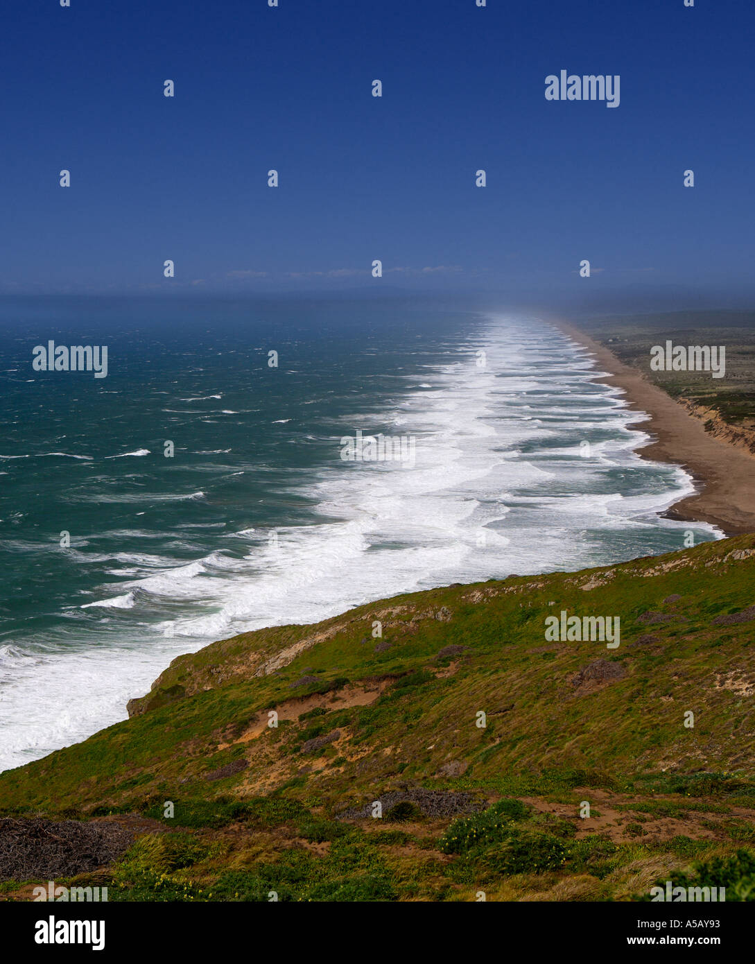 rocky coast at Point Reyes National Seashore Northern California Stock ...