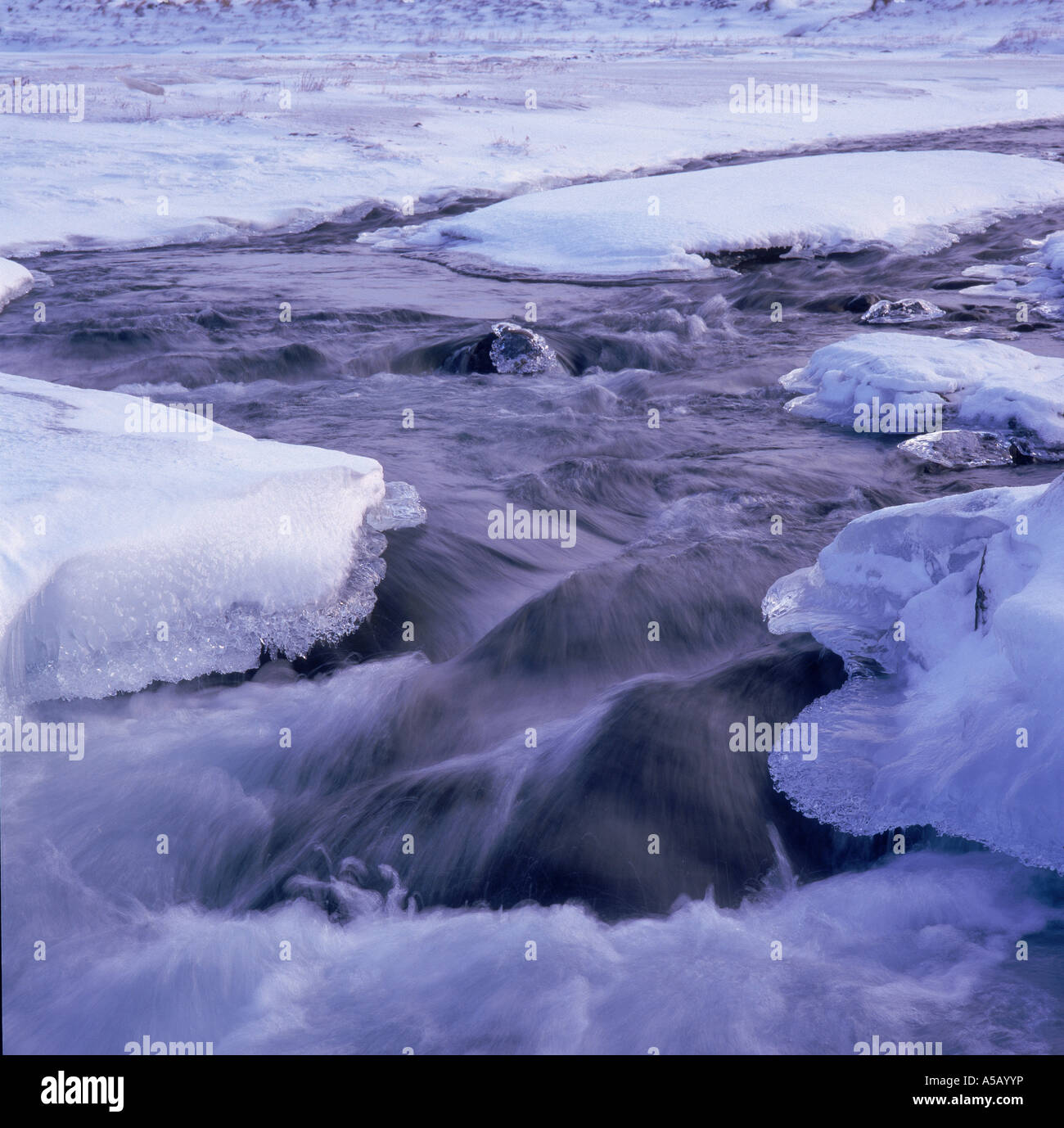 Ice in creek, Fresh drinking water, Iceland Stock Photo - Alamy