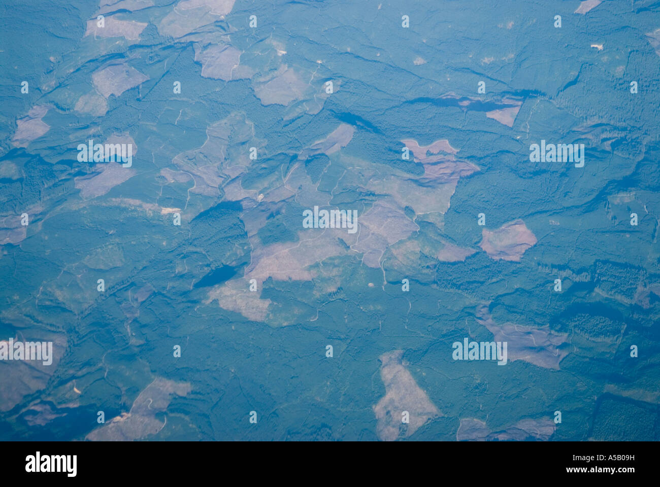 Logged forests from air Oregon Stock Photo - Alamy
