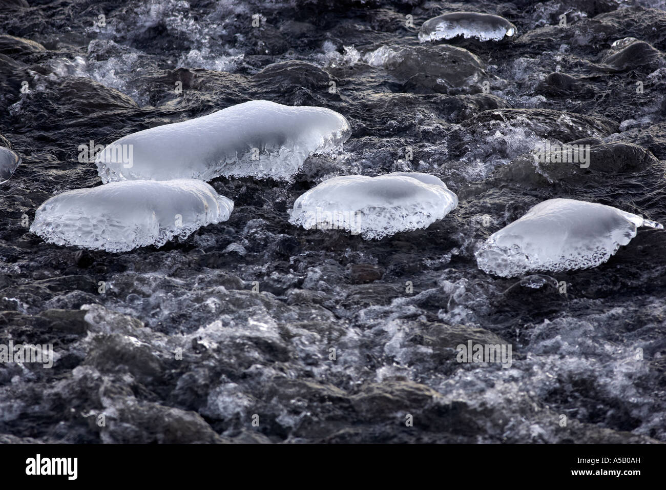 Ice patches in natural fresh drinkable water creek, Iceland Stock Photo ...