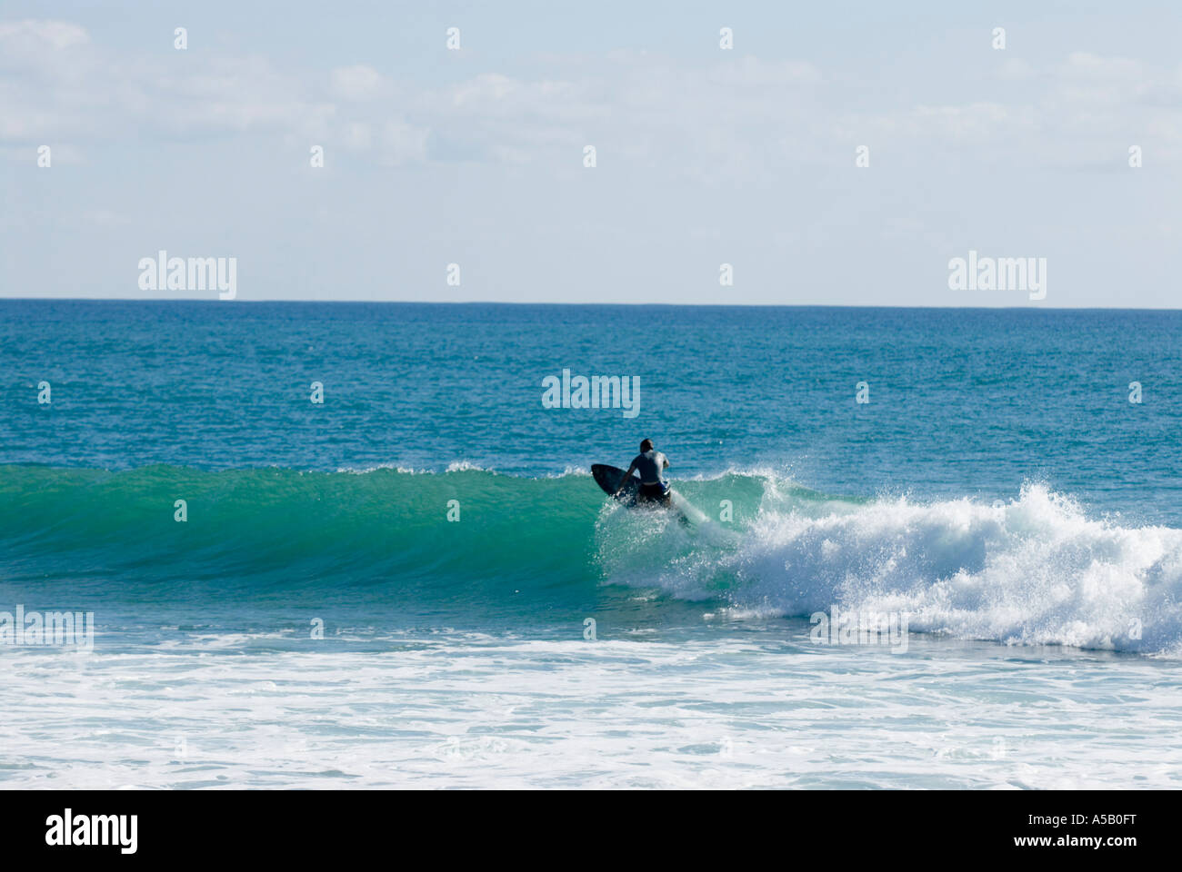 Surfing in Baja California Sur, Mexico Stock Photo - Alamy