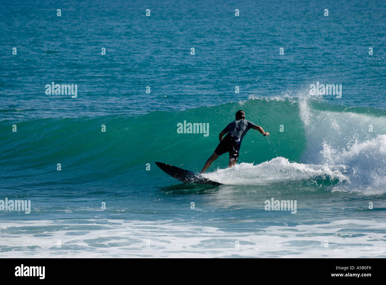 Baja california sur surfing hi-res stock photography and images - Alamy
